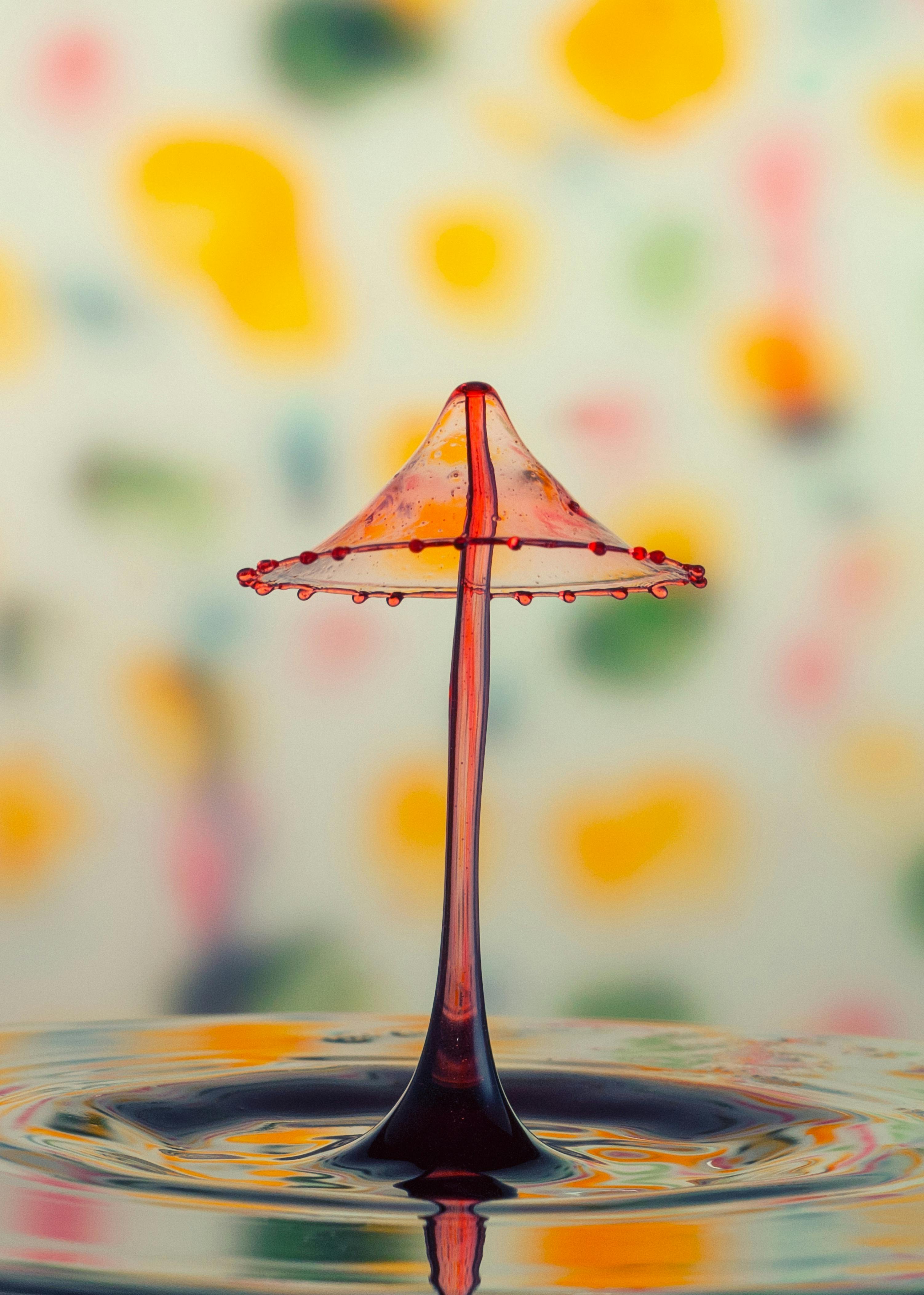 Background+Cropper Photos, Download The BEST Free Background+Cropper ...