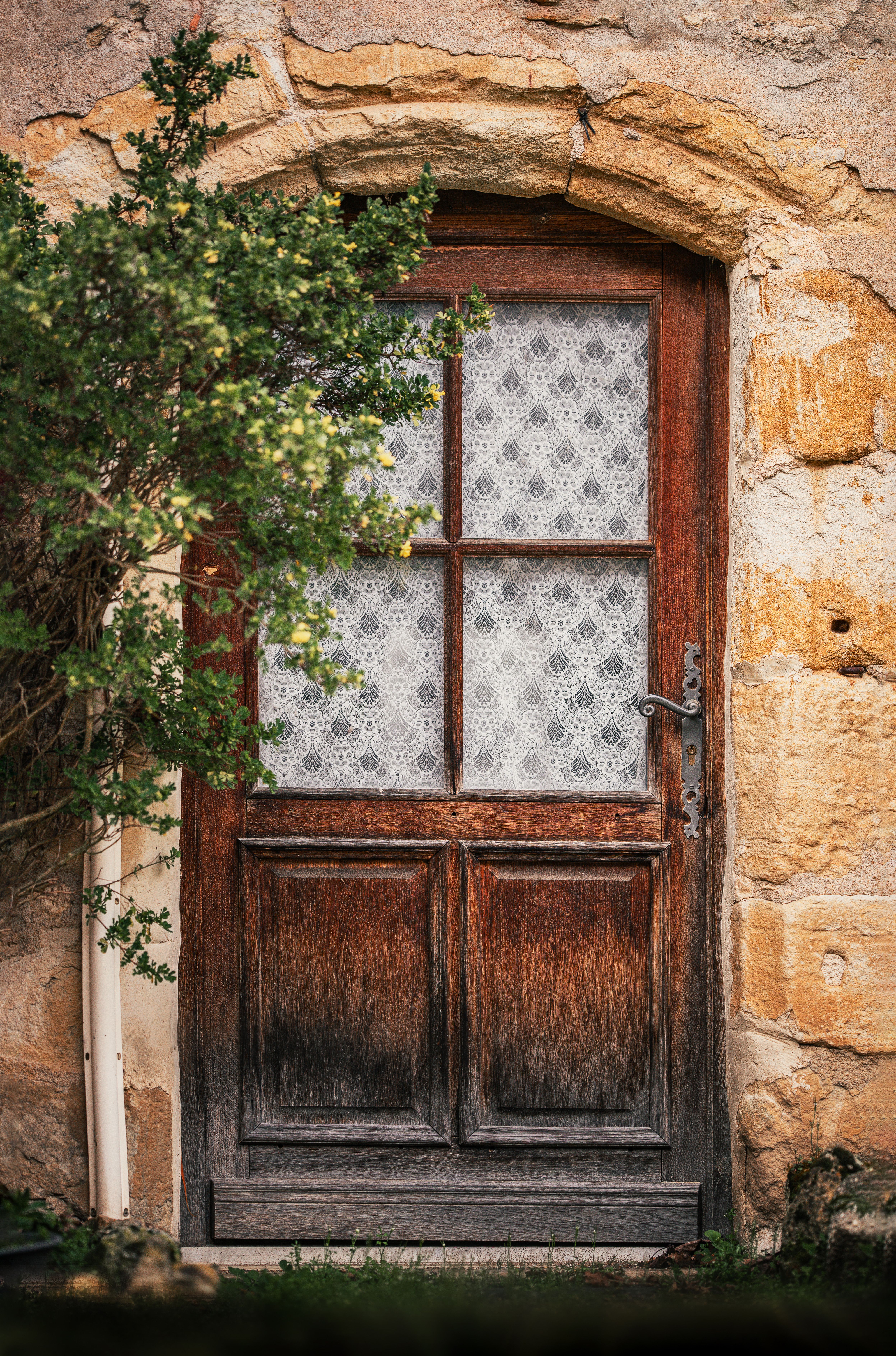Puerta Rústica De Madera En Pared De Piedra Con Planta · Foto de stock ...