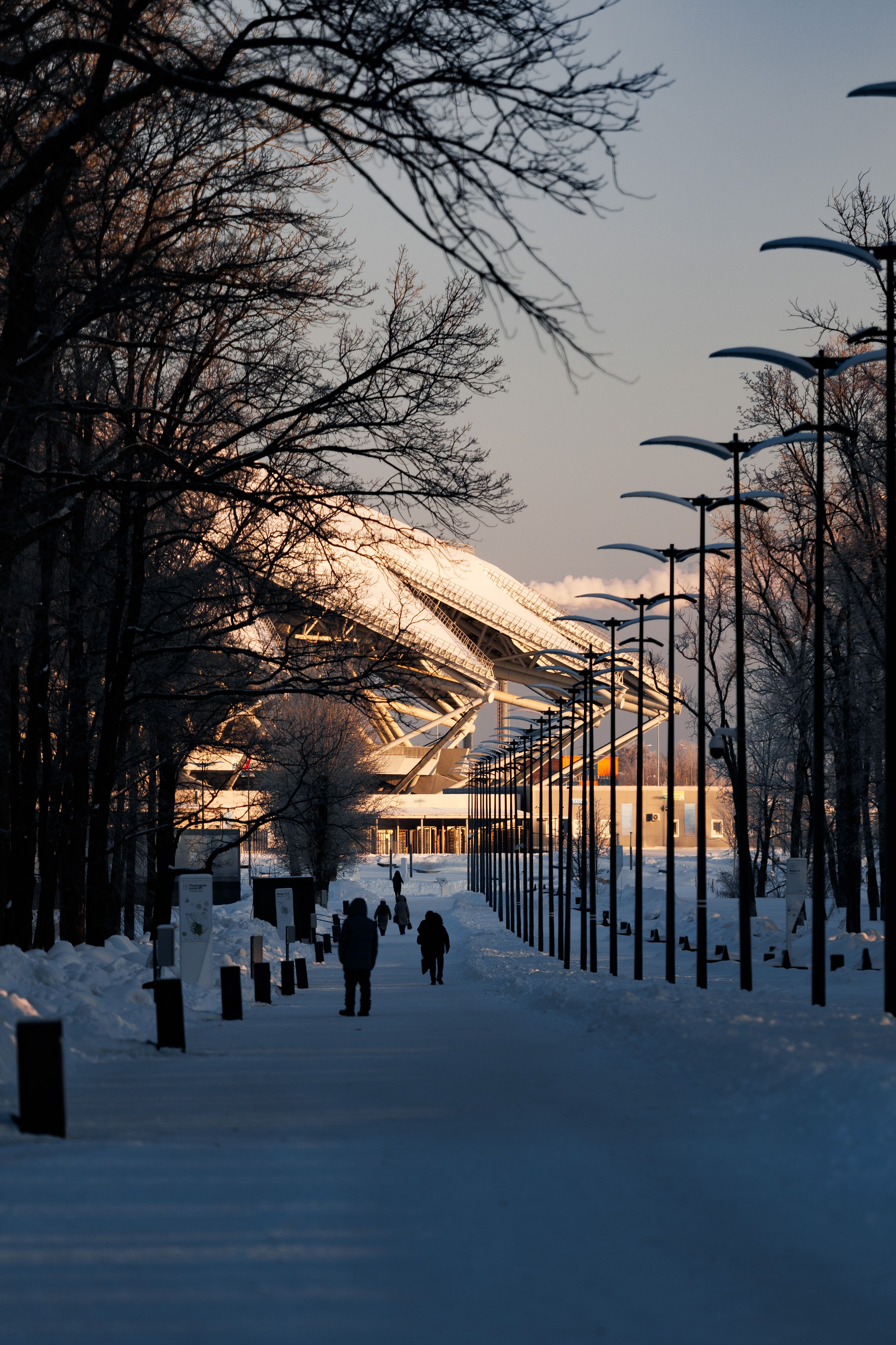 Winter Pathway Leading to Modern Structure · Free Stock Photo