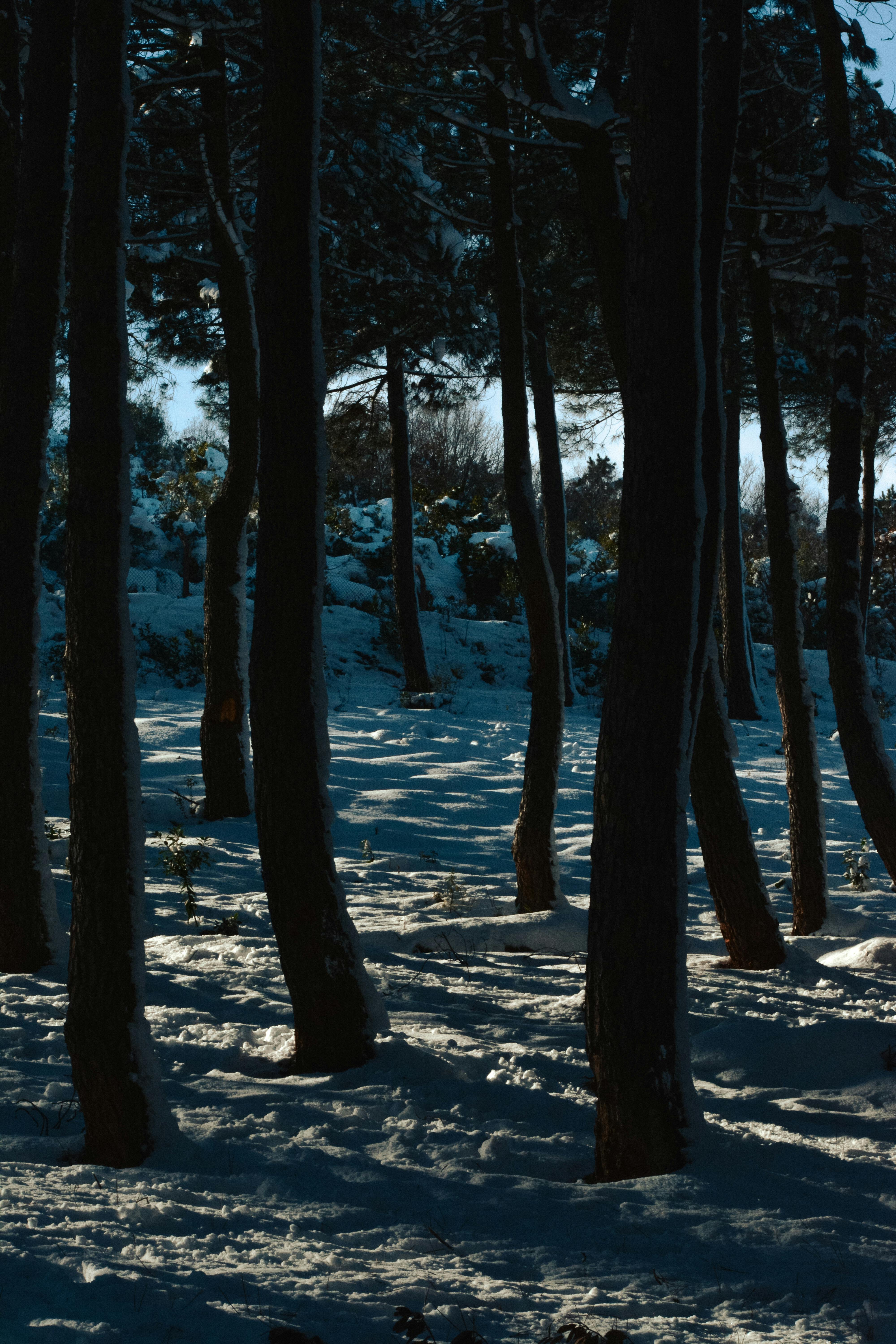 Dark Blue Nature Photos, Download The BEST Free Dark Blue Nature Stock ...