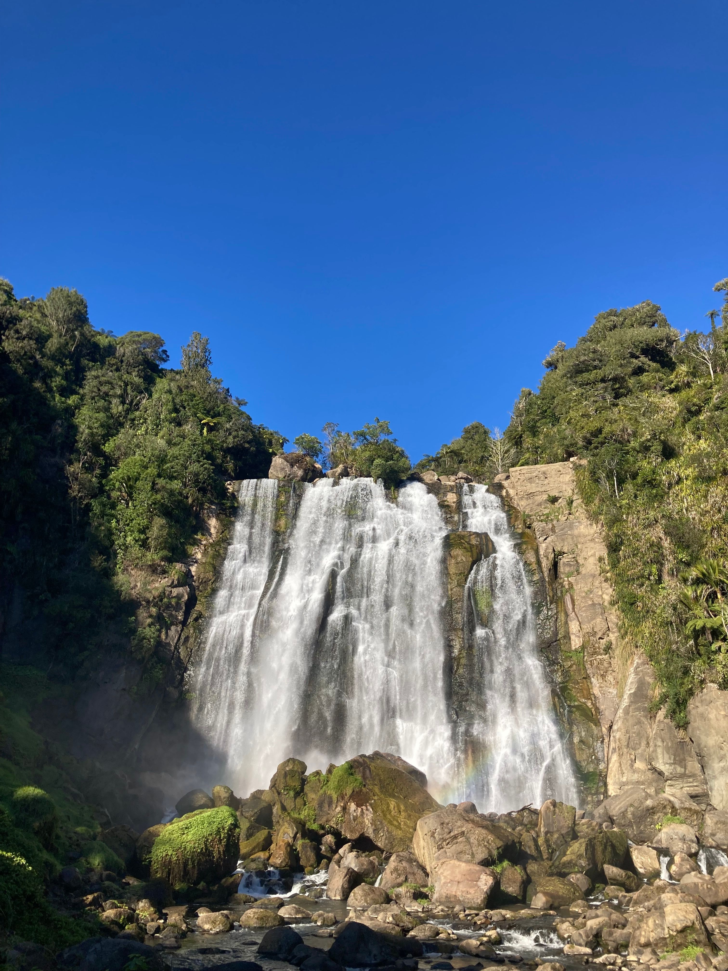 Majestic Waterfall in Lush New Zealand Forest · Free Stock Photo