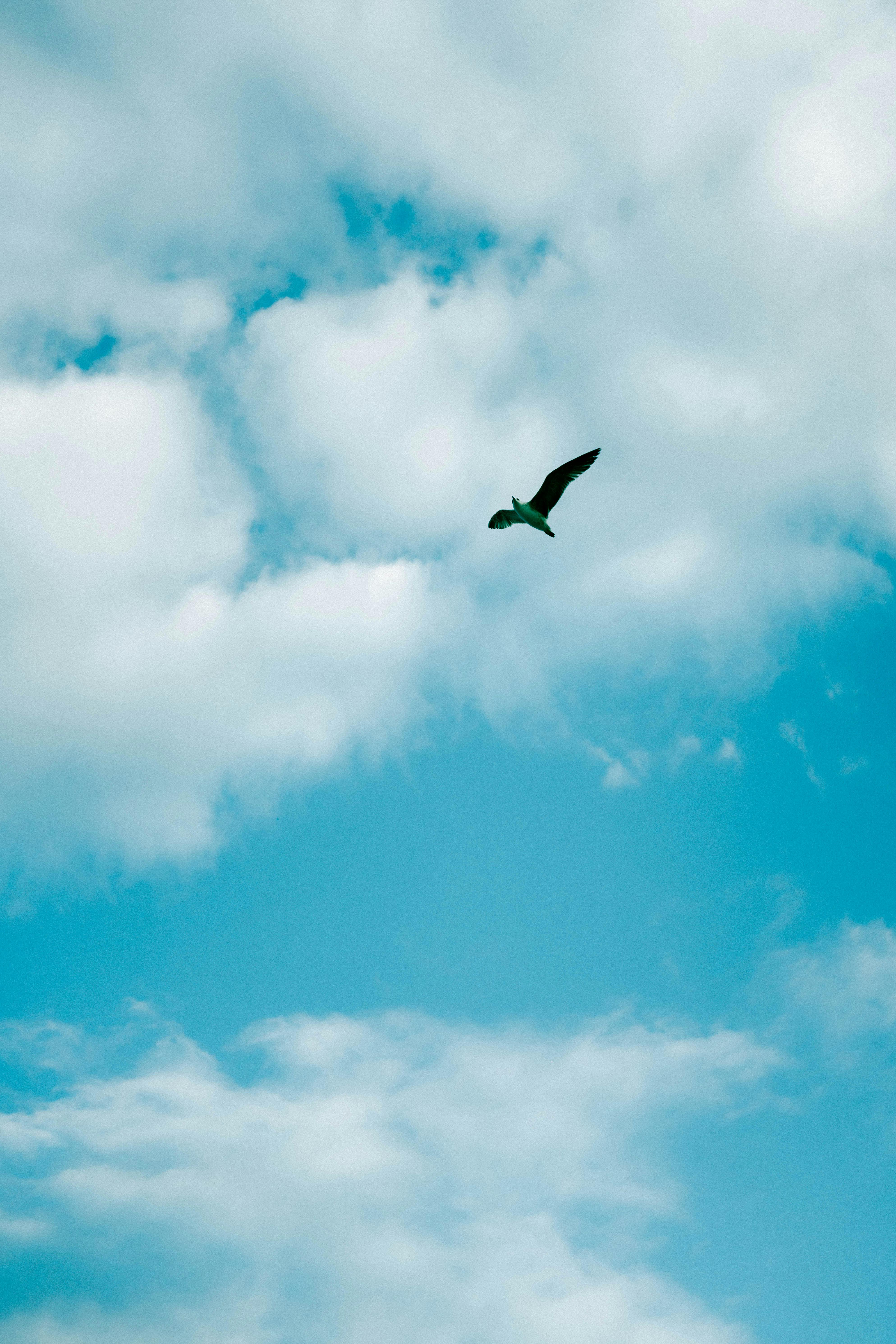 Free Spirit Uplifting Pics Photos, Download The BEST Free Free Spirit ...