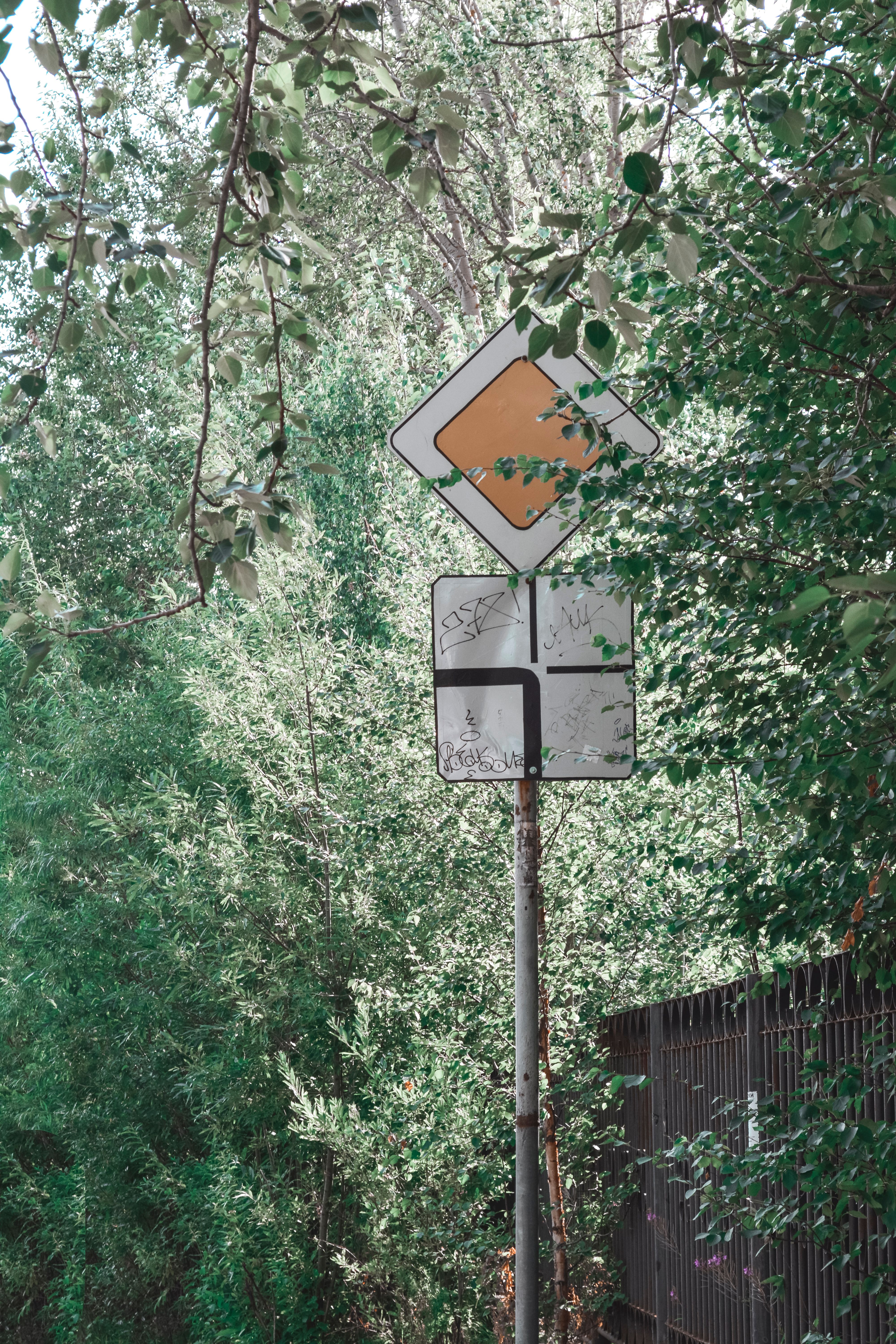 Nature Meets Urban with Overgrown Traffic Sign · Free Stock Photo