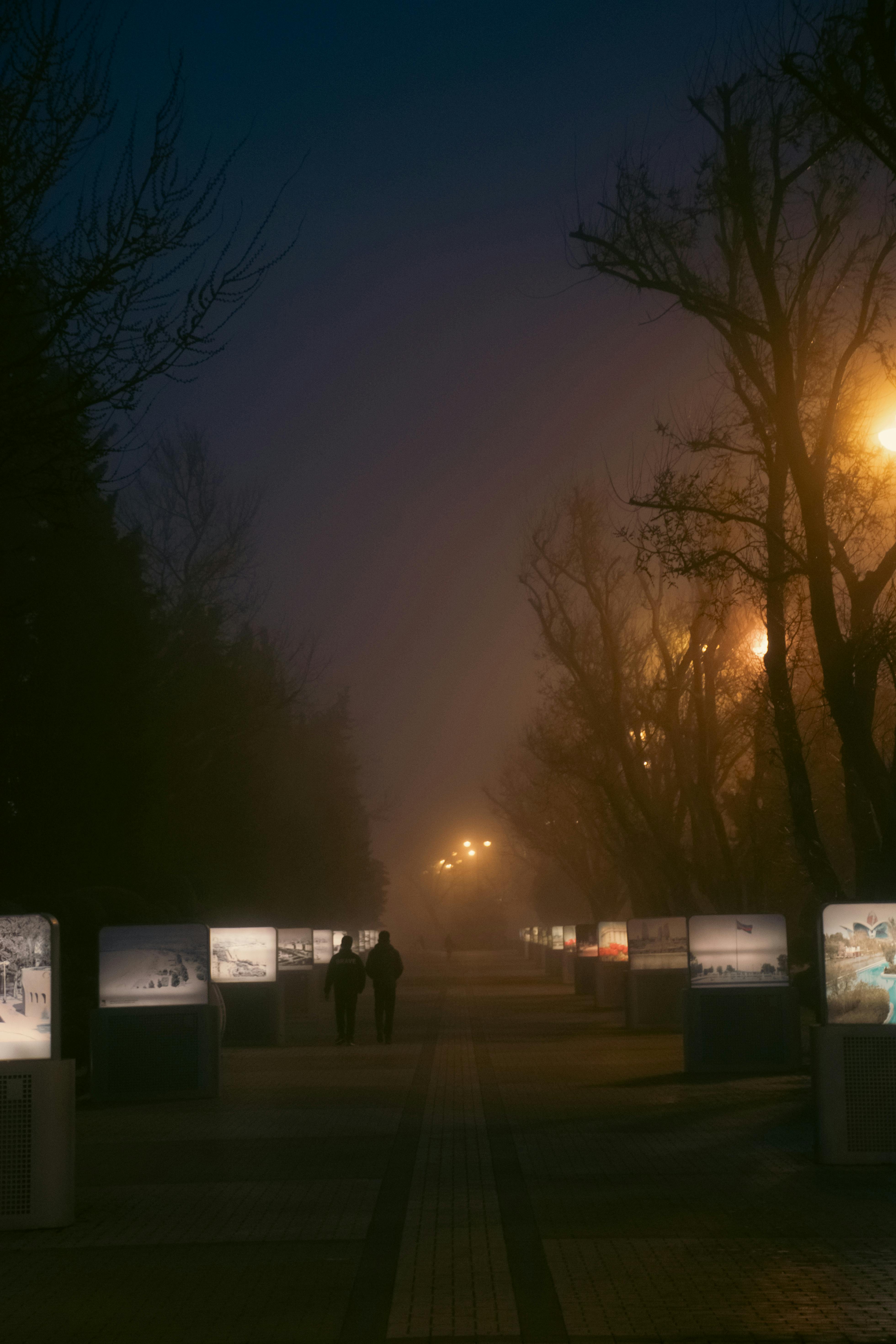 Leyla M - Photography