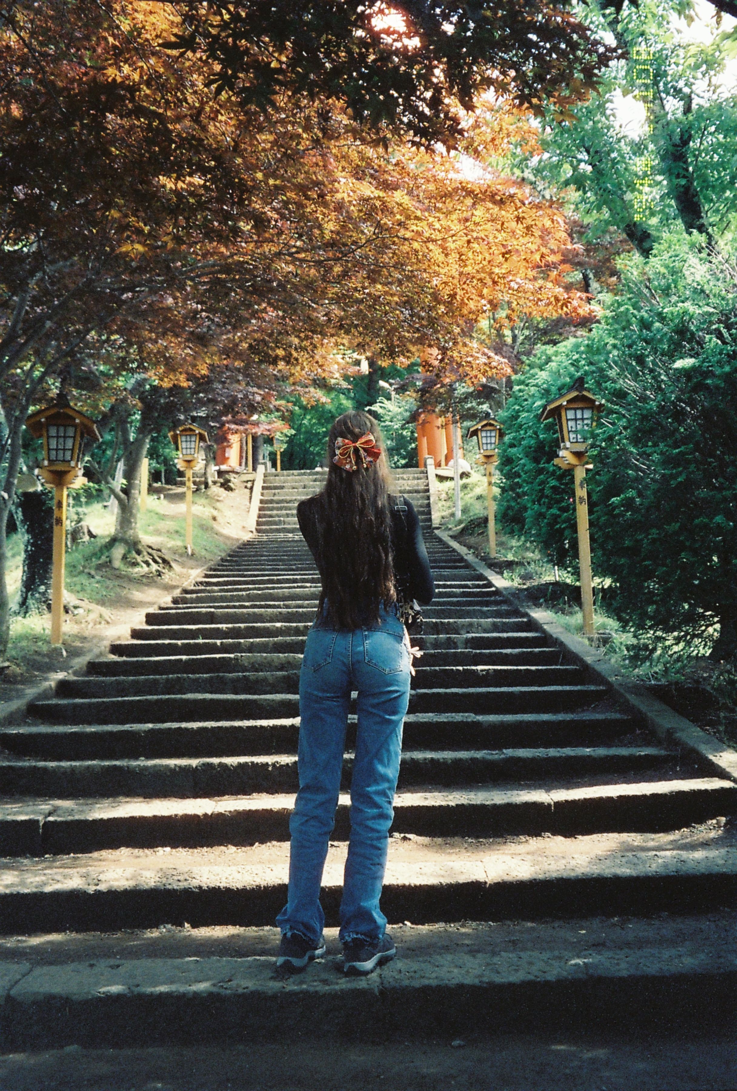 Woman Climbing Steps in Scenic Autumn Pathway · Free Stock Photo