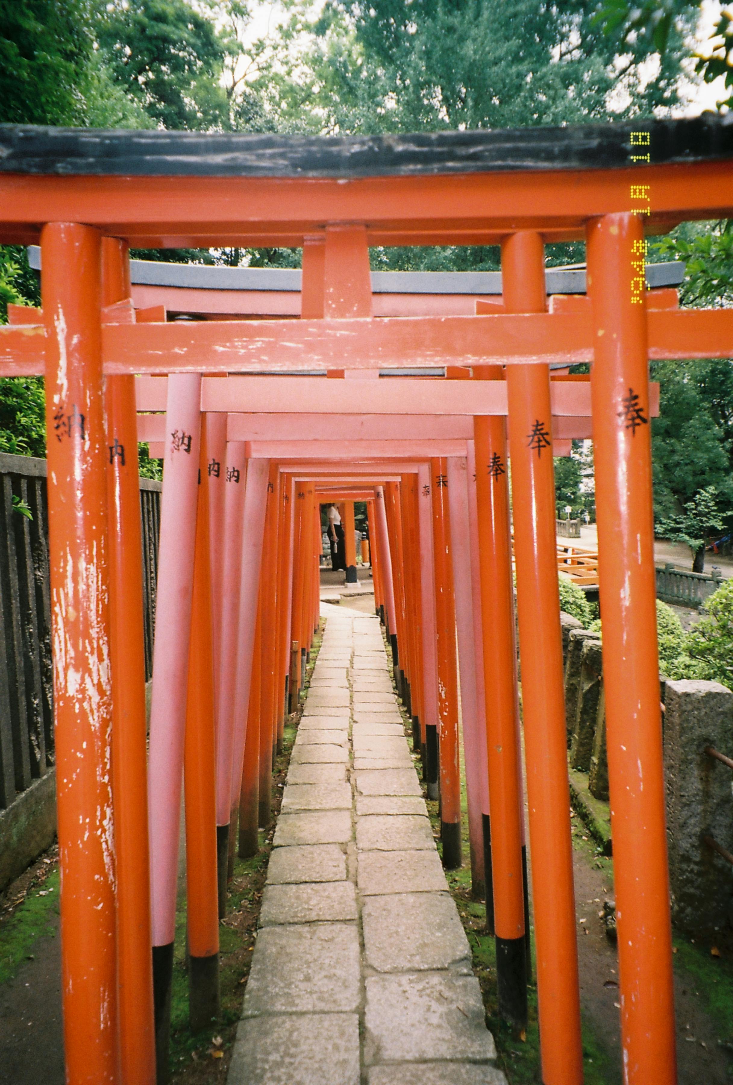 Red Torii Gate Pathway in Japanese Shrine · Free Stock Photo