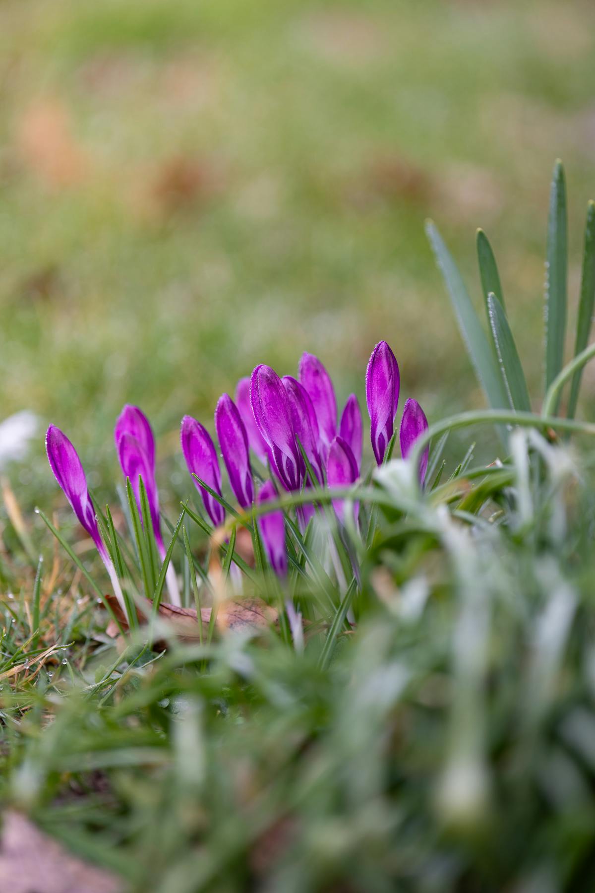 Springtime Photos, Download The BEST Free Springtime Stock Photos & HD ...