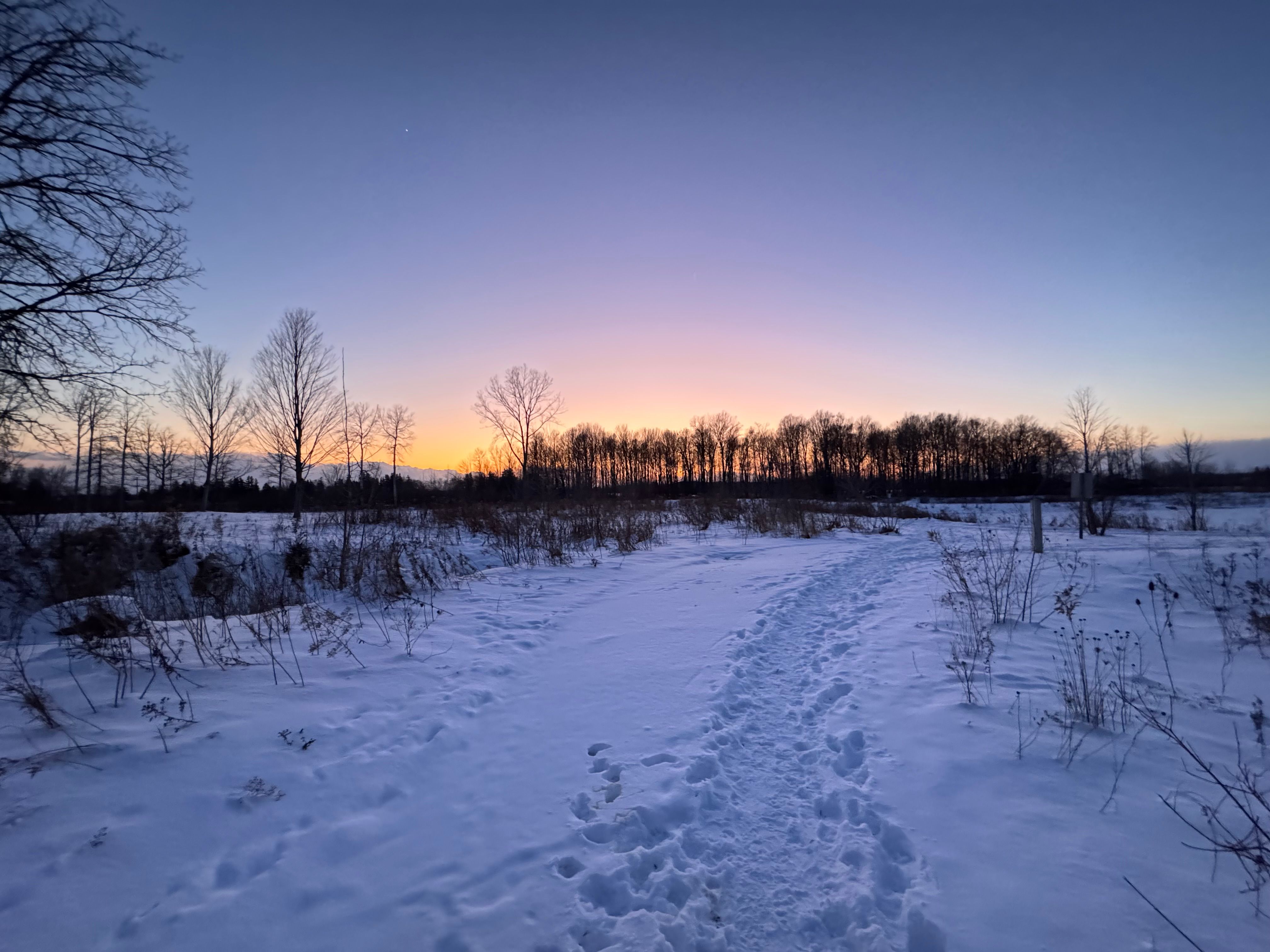 Serene Winter Sunset over Snowy Landscape · Free Stock Photo