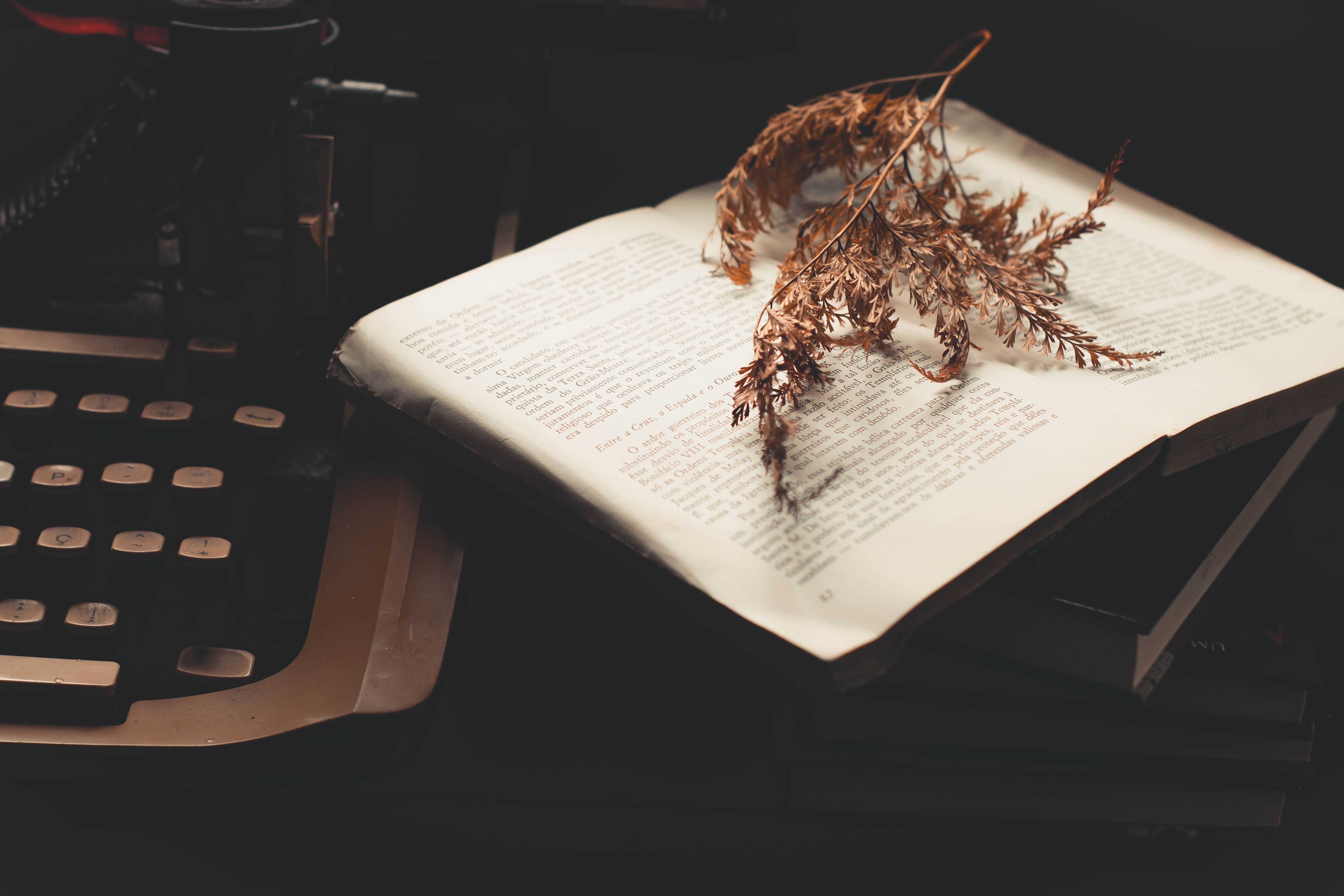 Dry Leaf On Book · Free Stock Photo