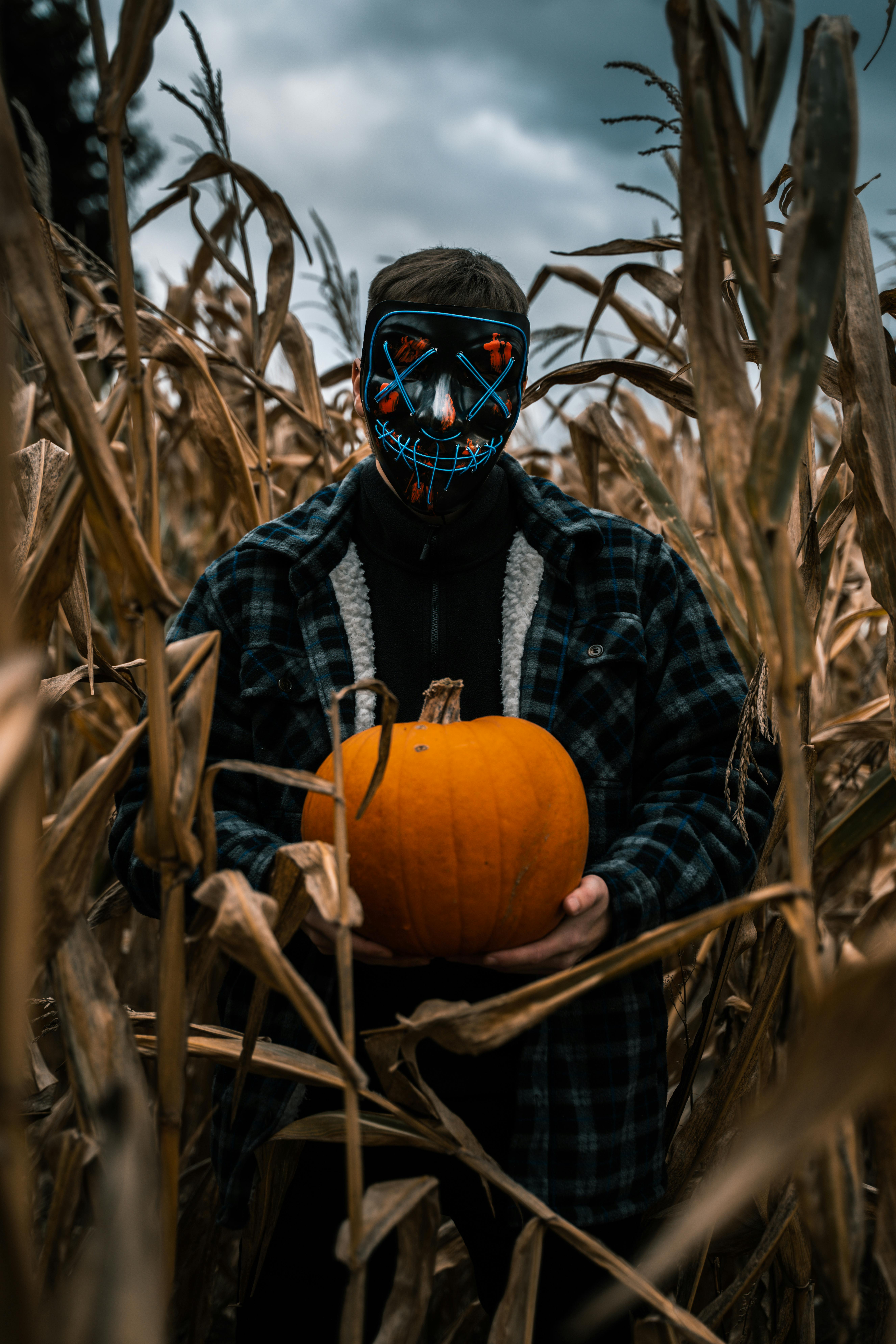 Photo Of Man Standing Near Corn Plants · Free Stock Photo