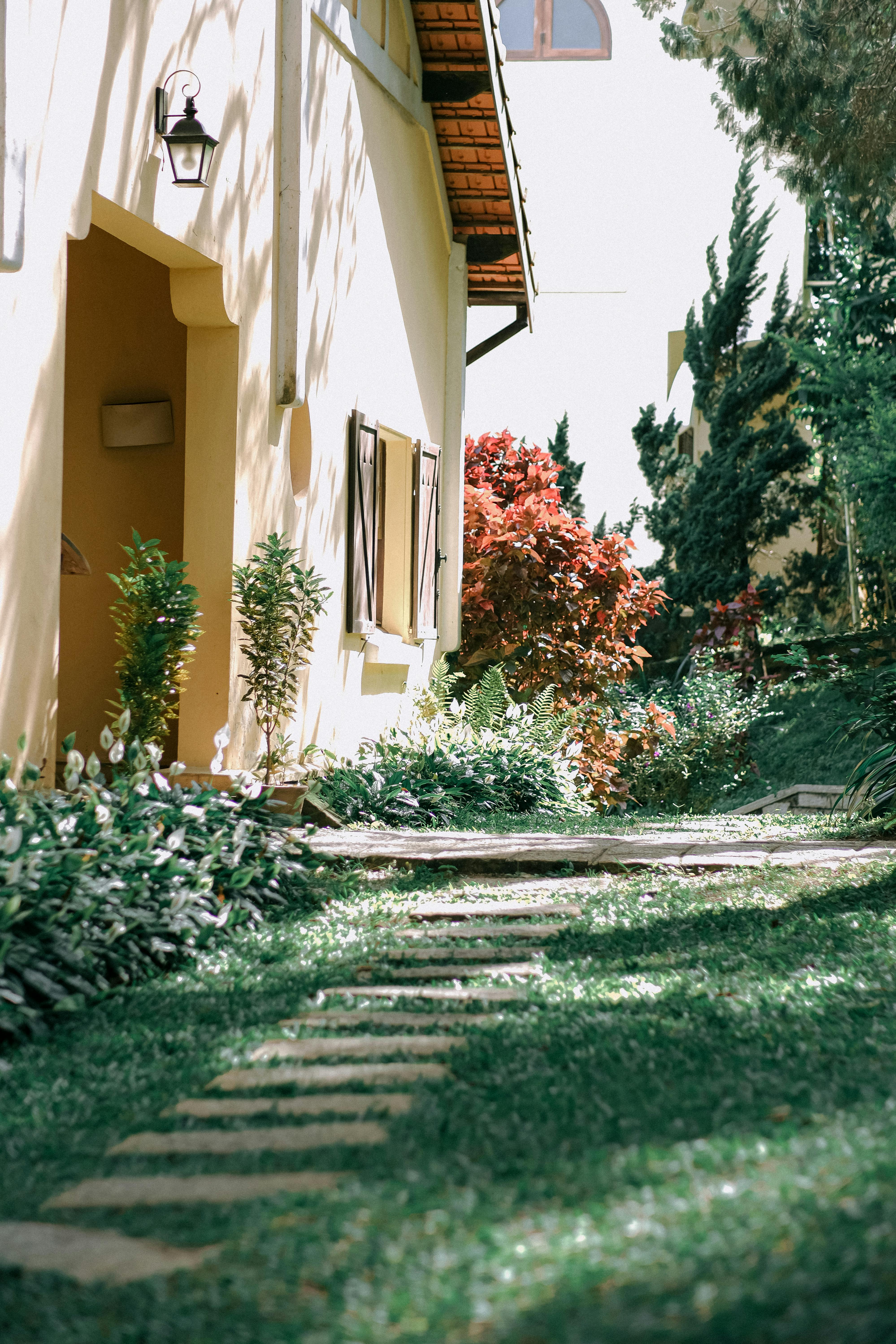Sunny Pathway in Đà Lạt Garden · Free Stock Photo