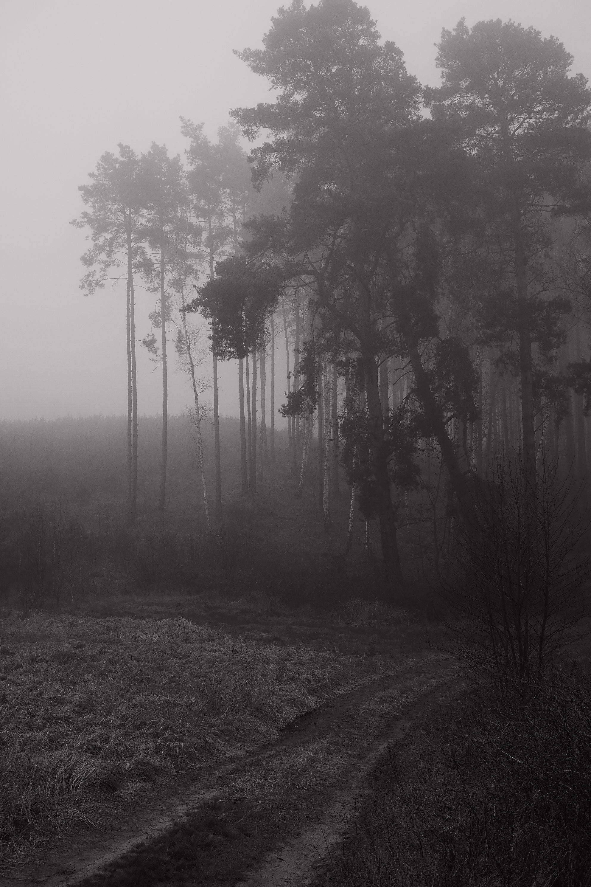 Imagini De Fundal Zen Photos, Download The BEST Free Imagini De Fundal ...