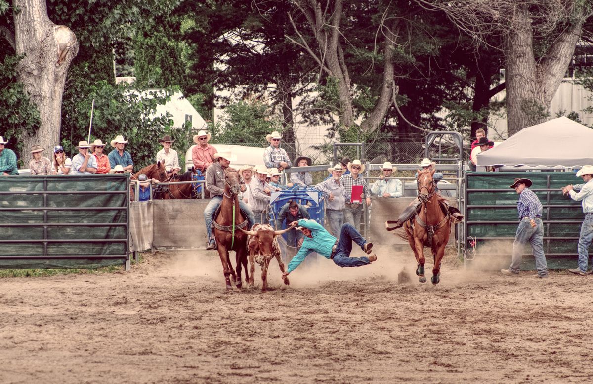 Rodeo Background Photos, Download The BEST Free Rodeo Background Stock ...