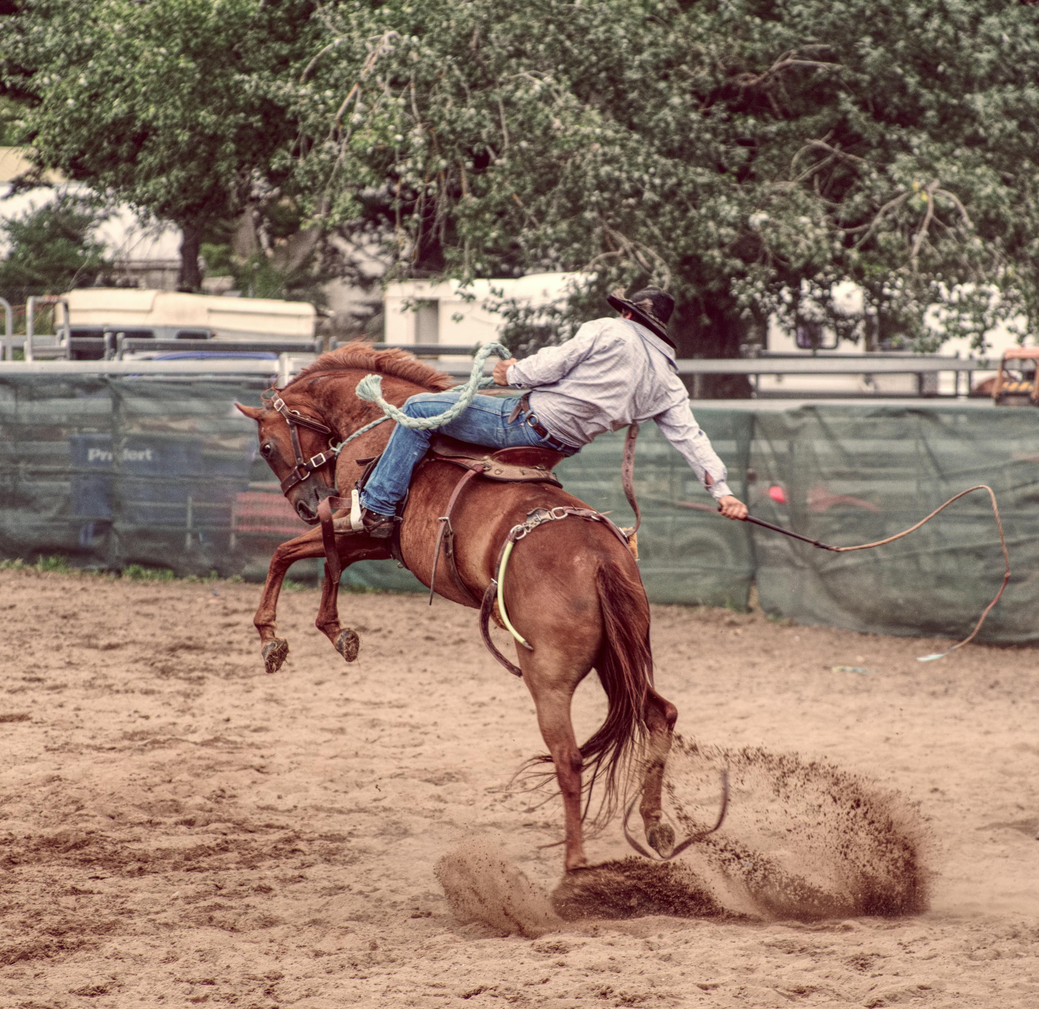 Vaquero De Rodeo Dinámico A Caballo Salvaje · Foto de stock gratuita