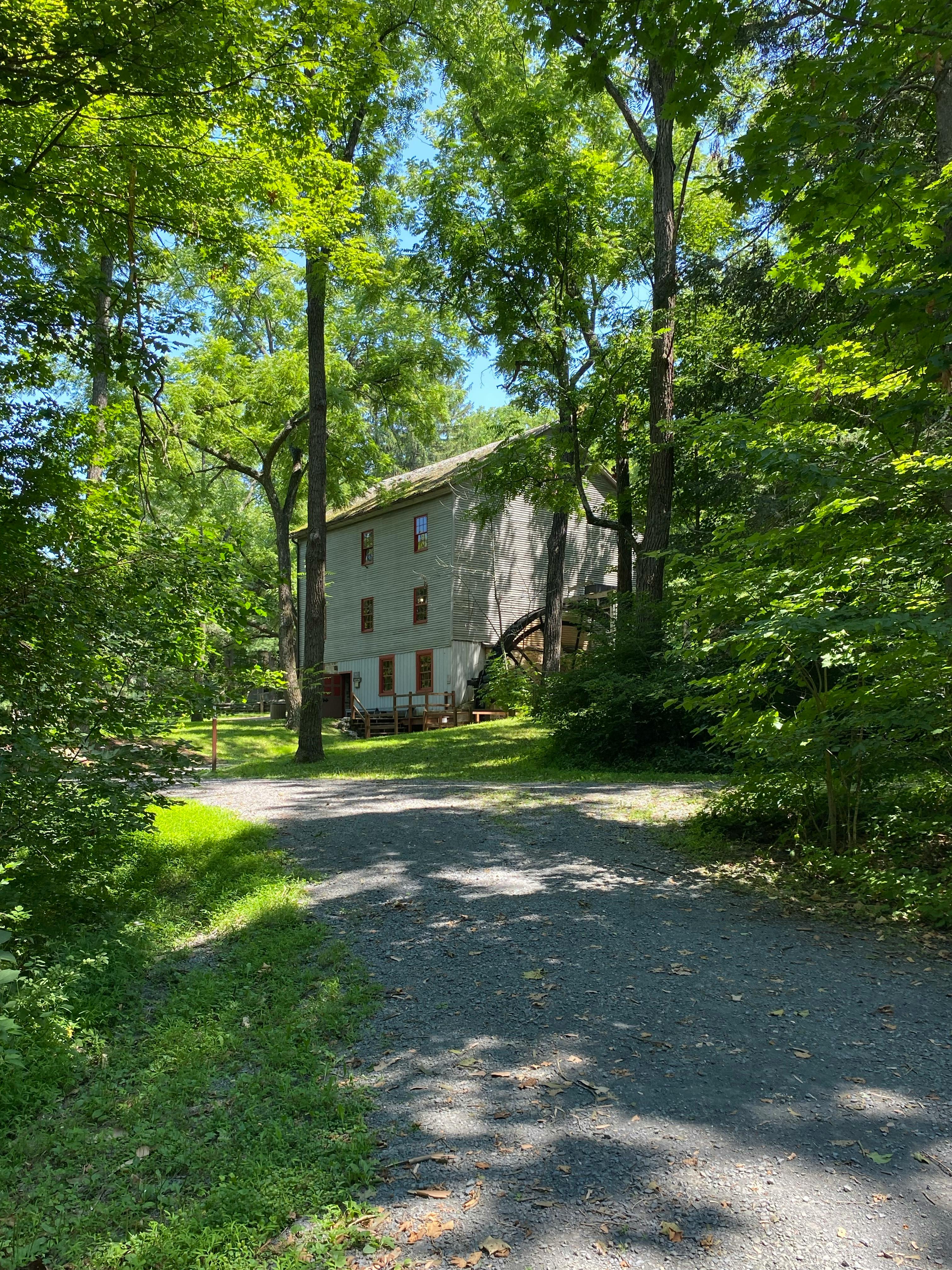 Historic Rustic Mill in Lush Green Forest · Free Stock Photo