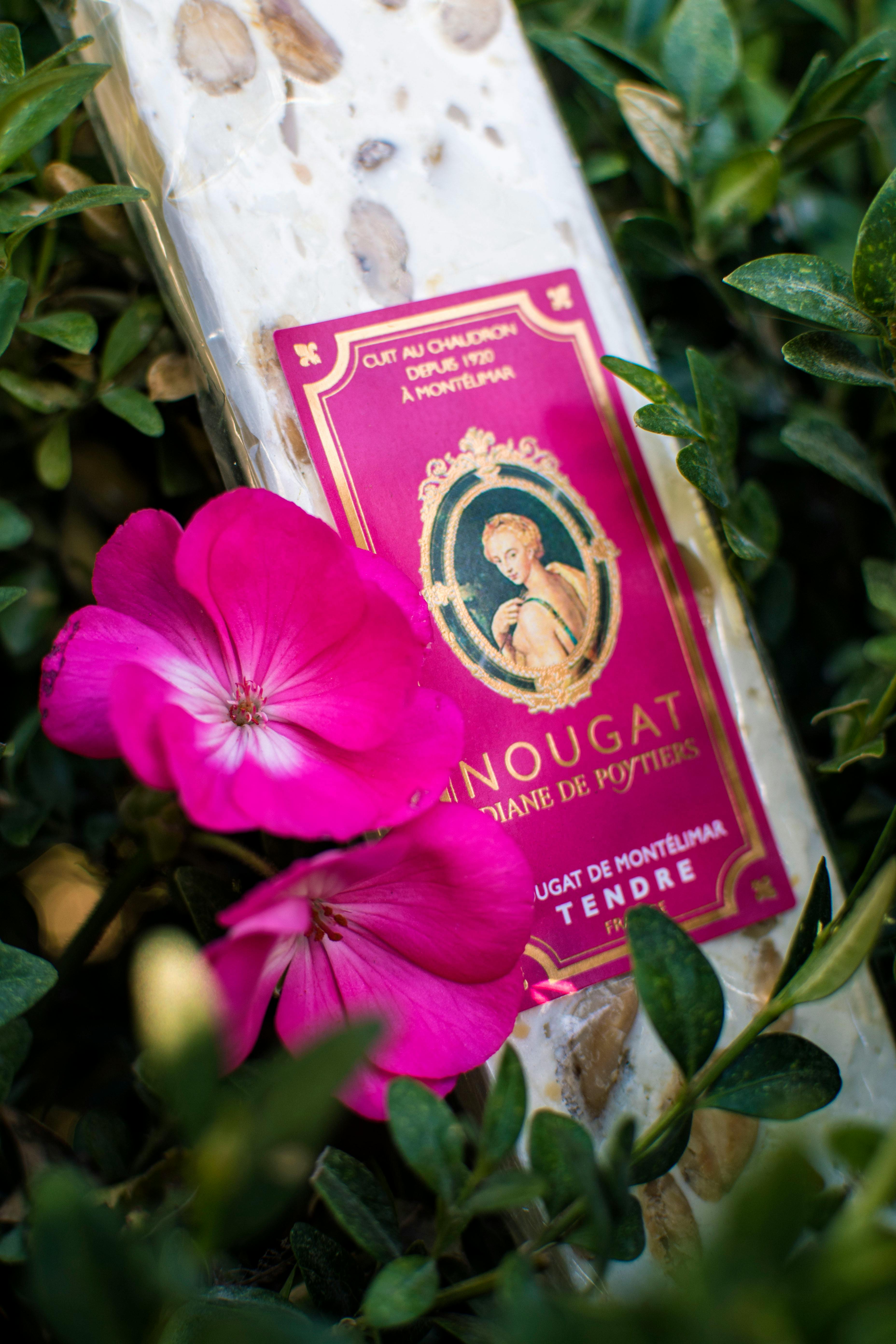 Traditional Nougat de Montélimar with Flowers · Free Stock Photo