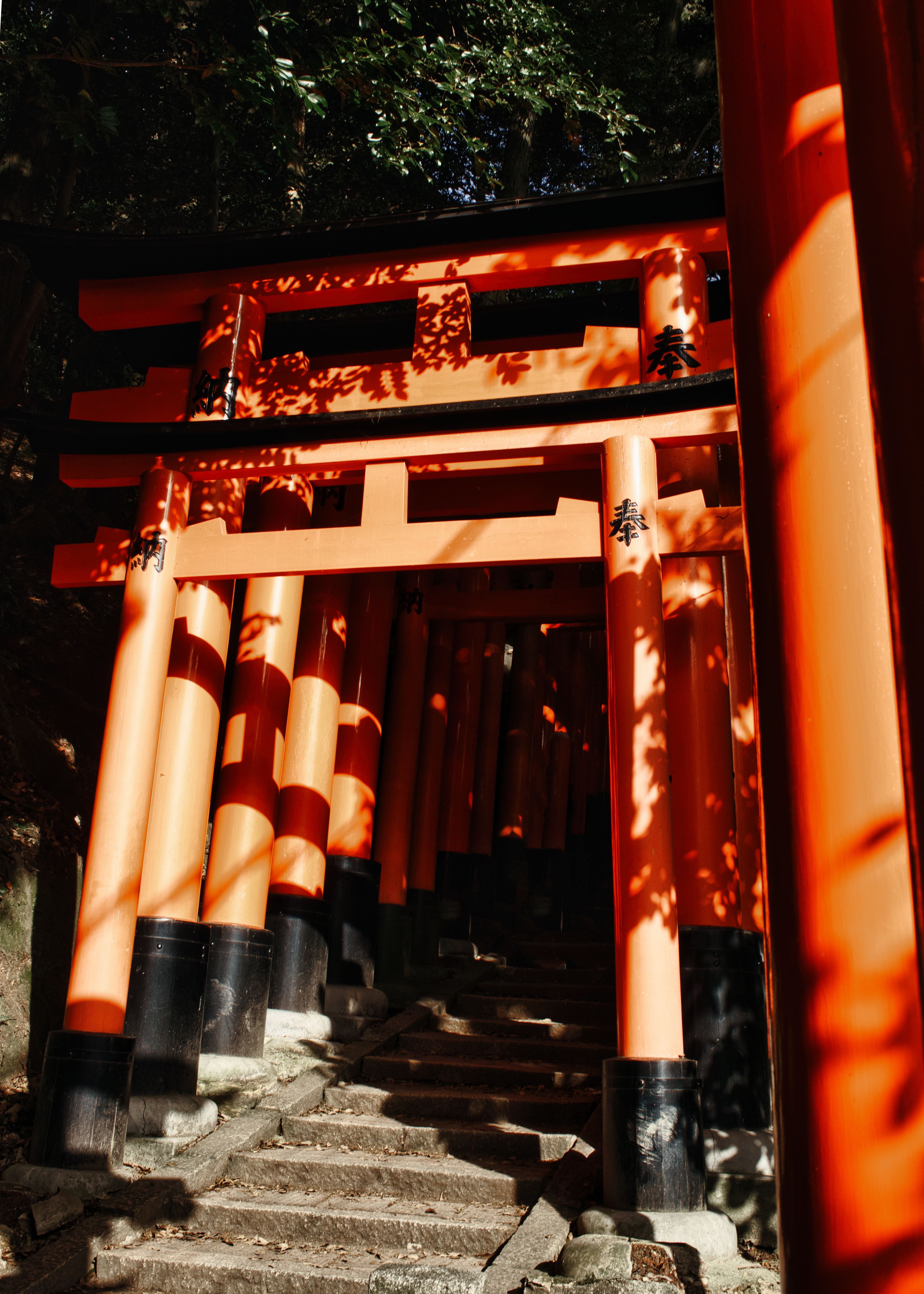 Fushimi Inari Shrine Pathway in Kyoto, Japan · Free Stock Photo