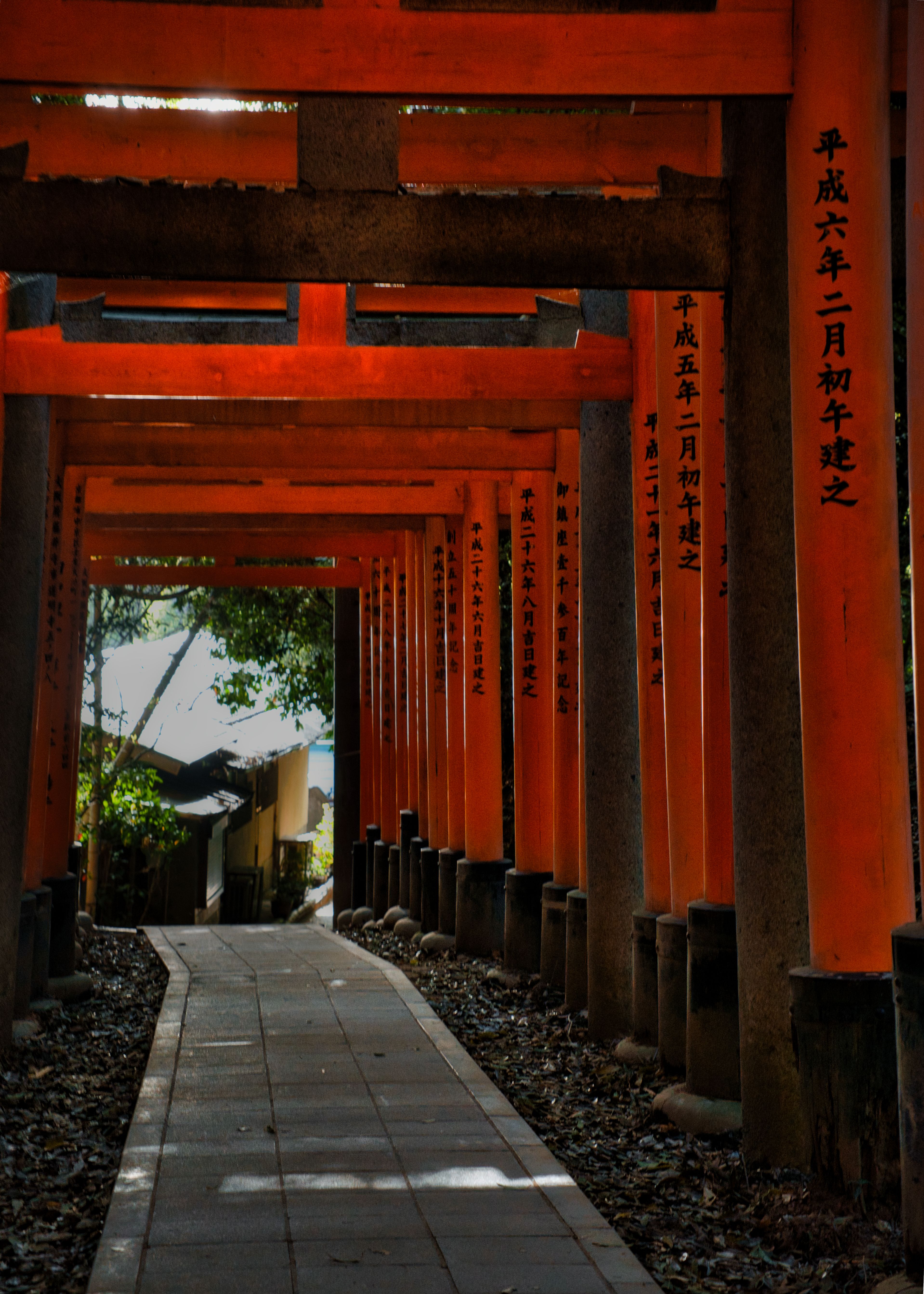 Fushimi Inari Shrine Torii Path in Kyoto · Free Stock Photo