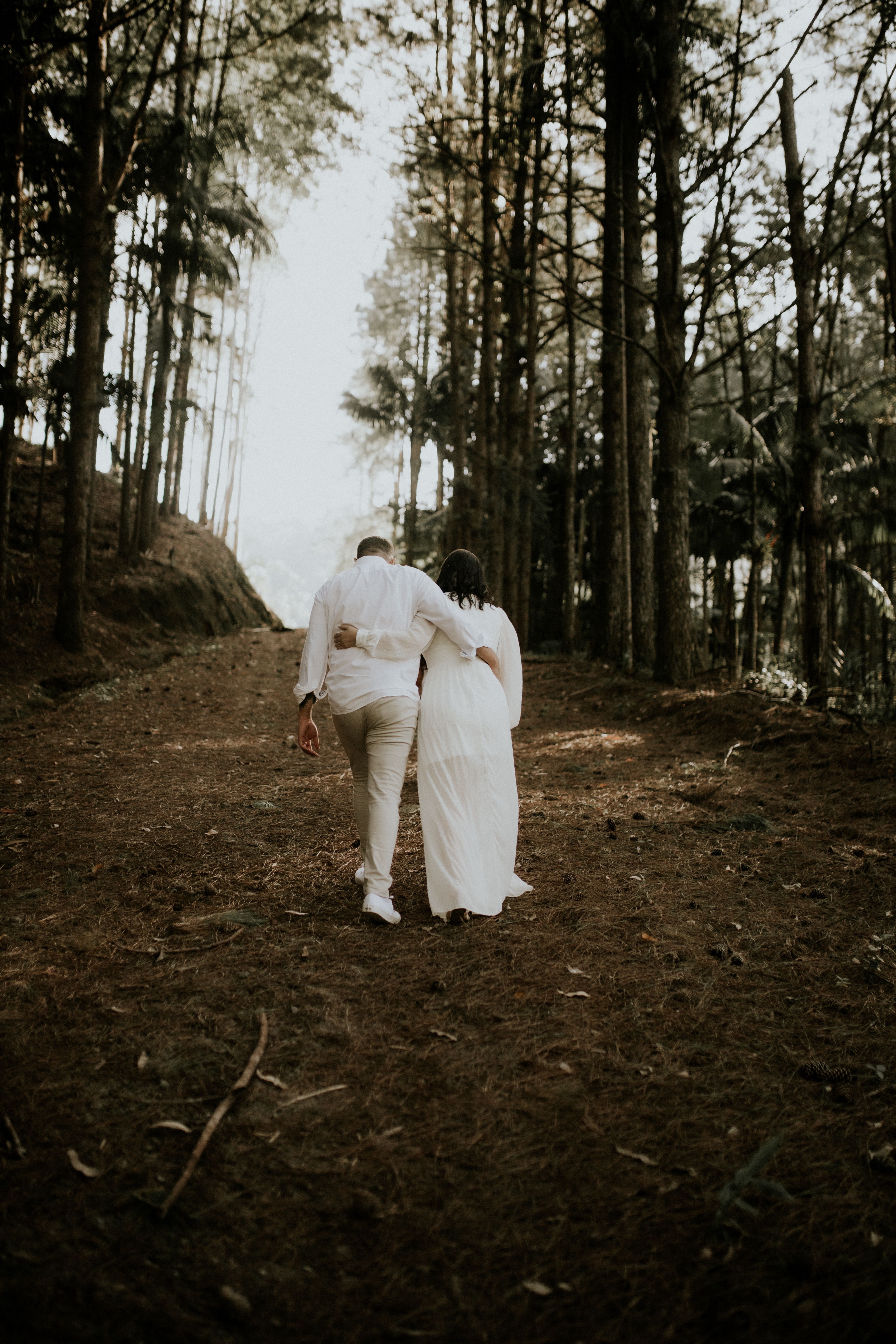 Romantic couple walking through serene forest path · Free Stock Photo
