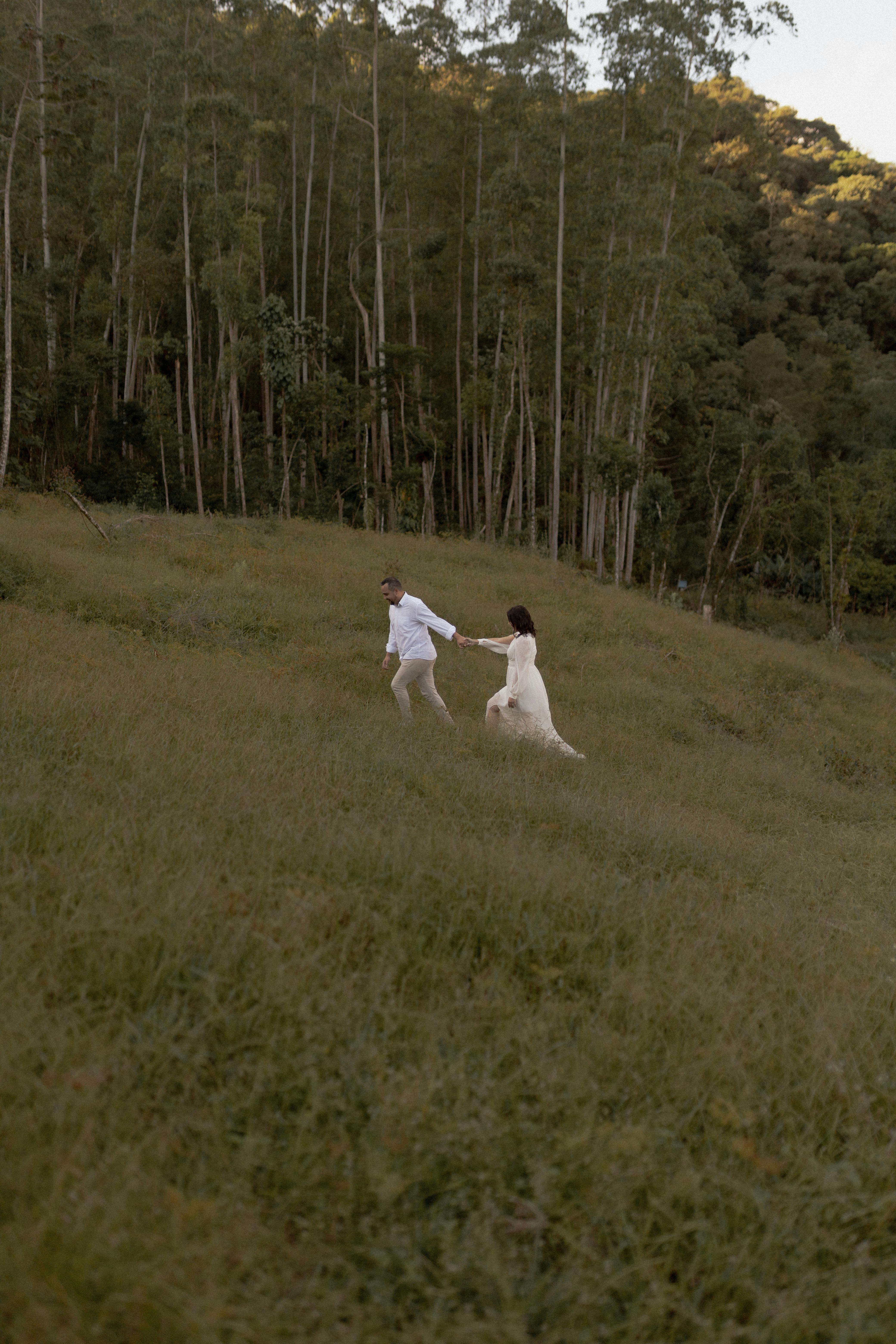 Joyful Scenery Photos, Download The BEST Free Joyful Scenery Stock ...