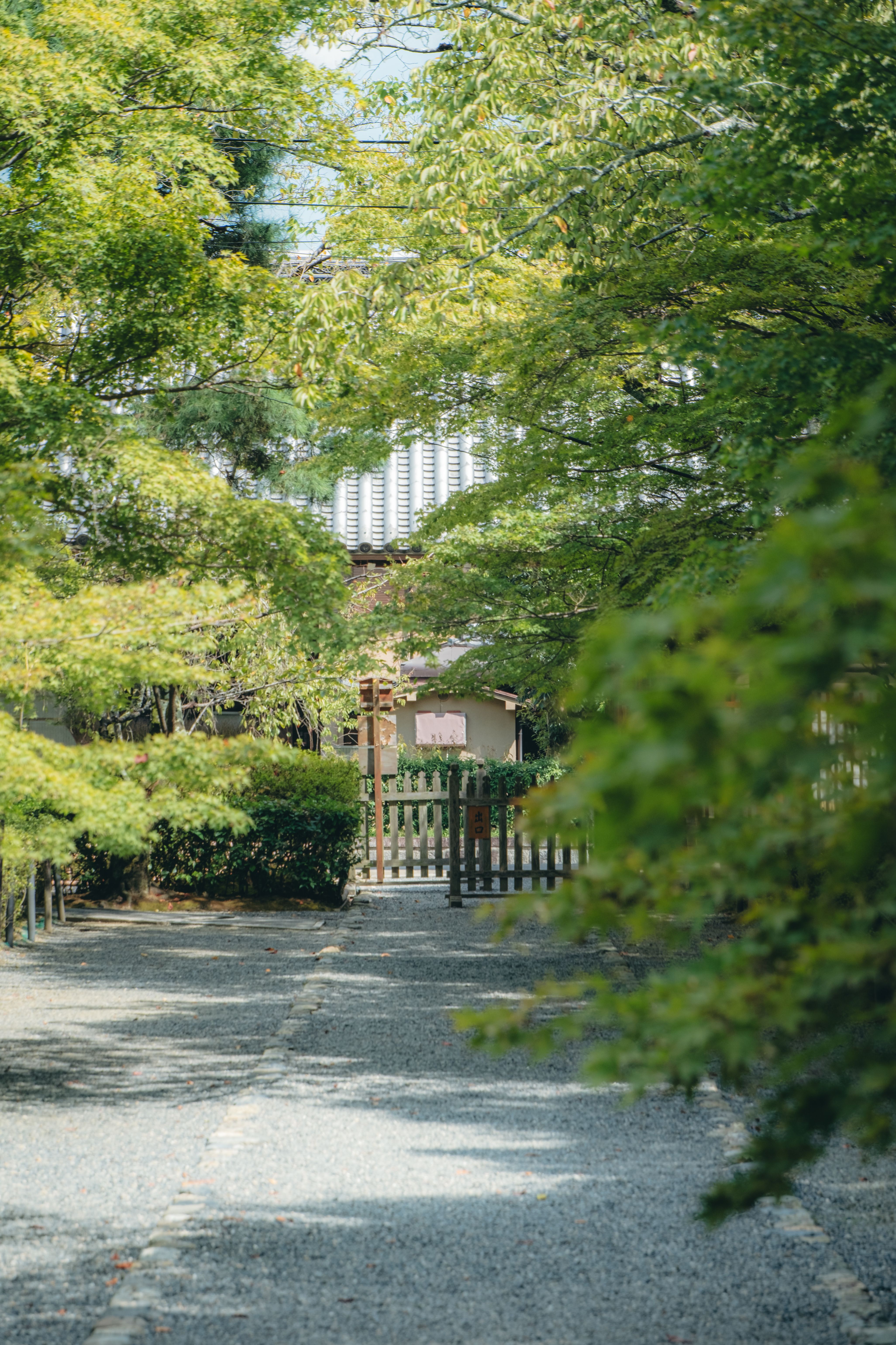 Tranquil Japanese Garden Pathway in Spring · Free Stock Photo