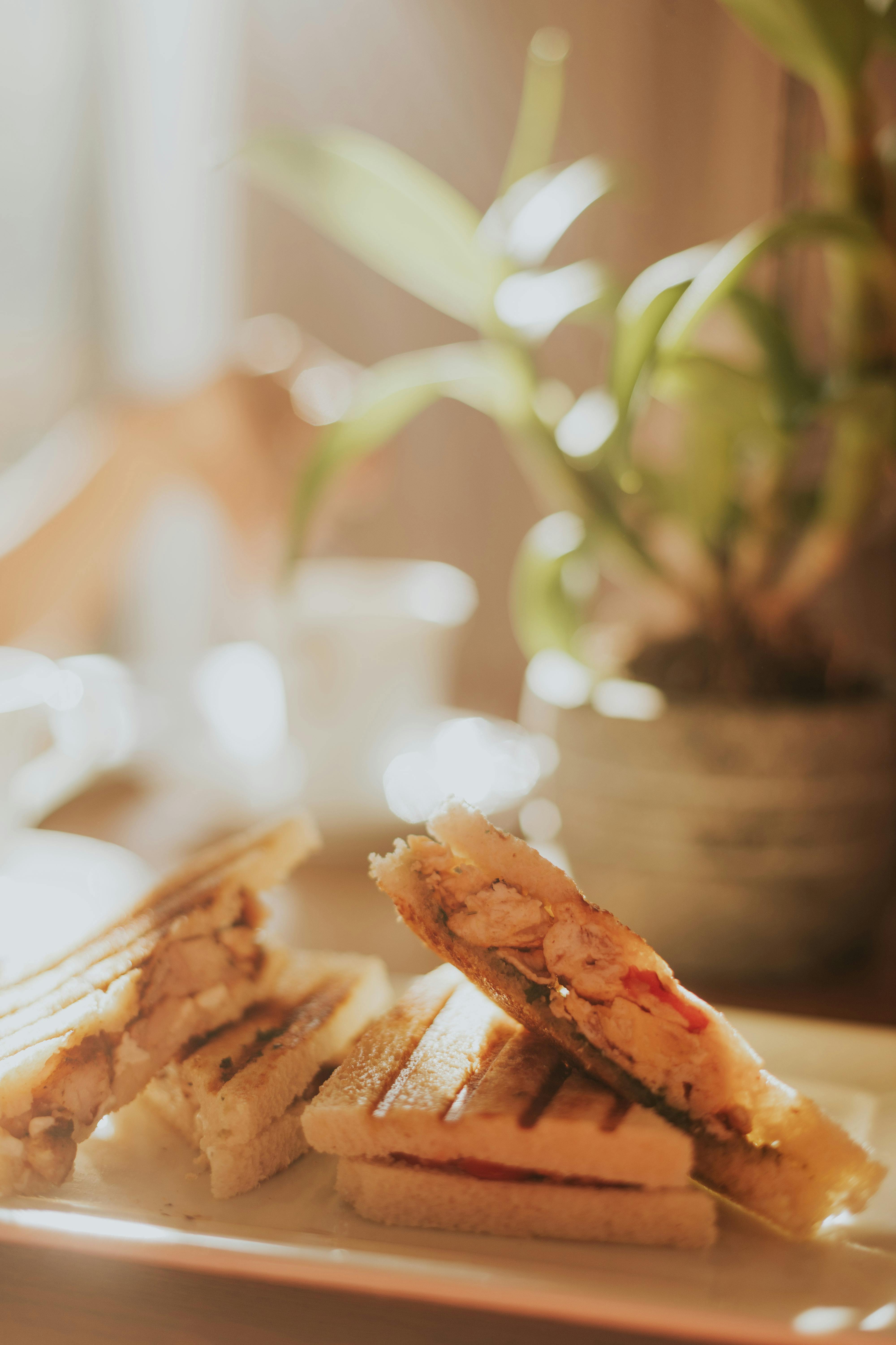 Food Banner Bites Photos, Download The BEST Free Food Banner Bites ...