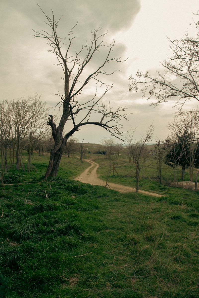 Abstract Landscape Photos, Download The BEST Free Abstract Landscape ...