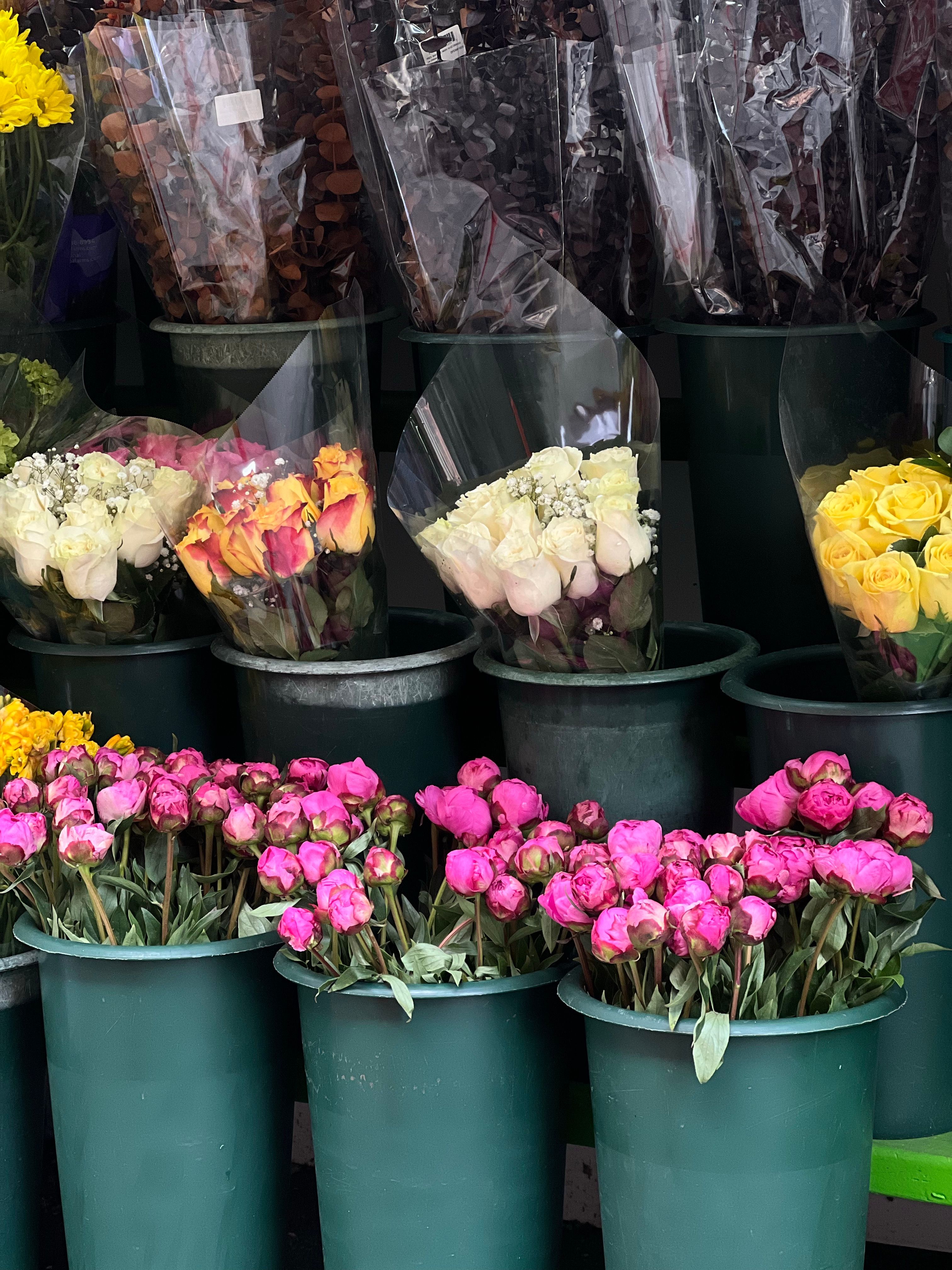 Vibrant Array of Fresh Roses in Street Market · Free Stock Photo