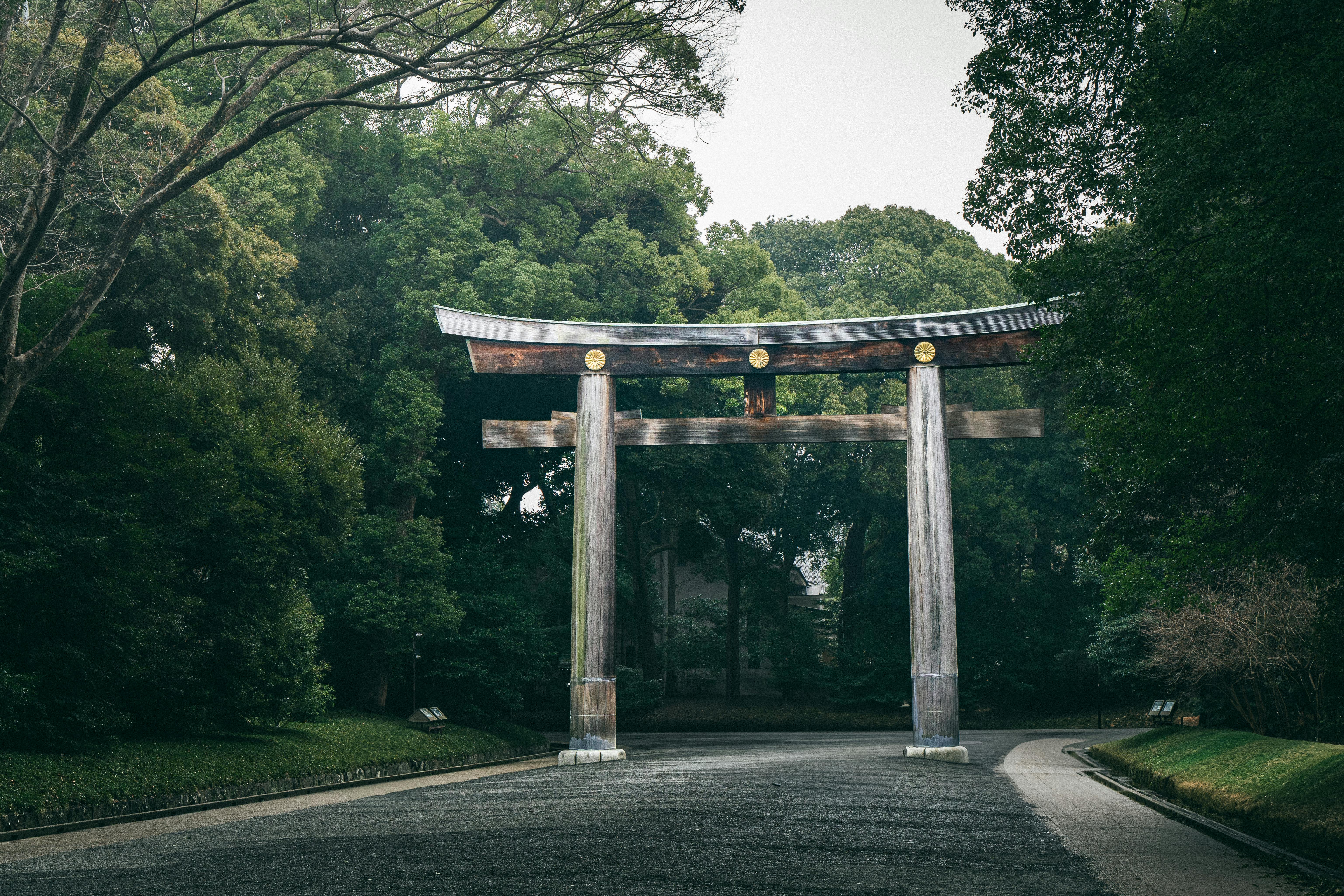 Serene Meiji Jingu Torii Gate in Tokyo Forest · Free Stock Photo