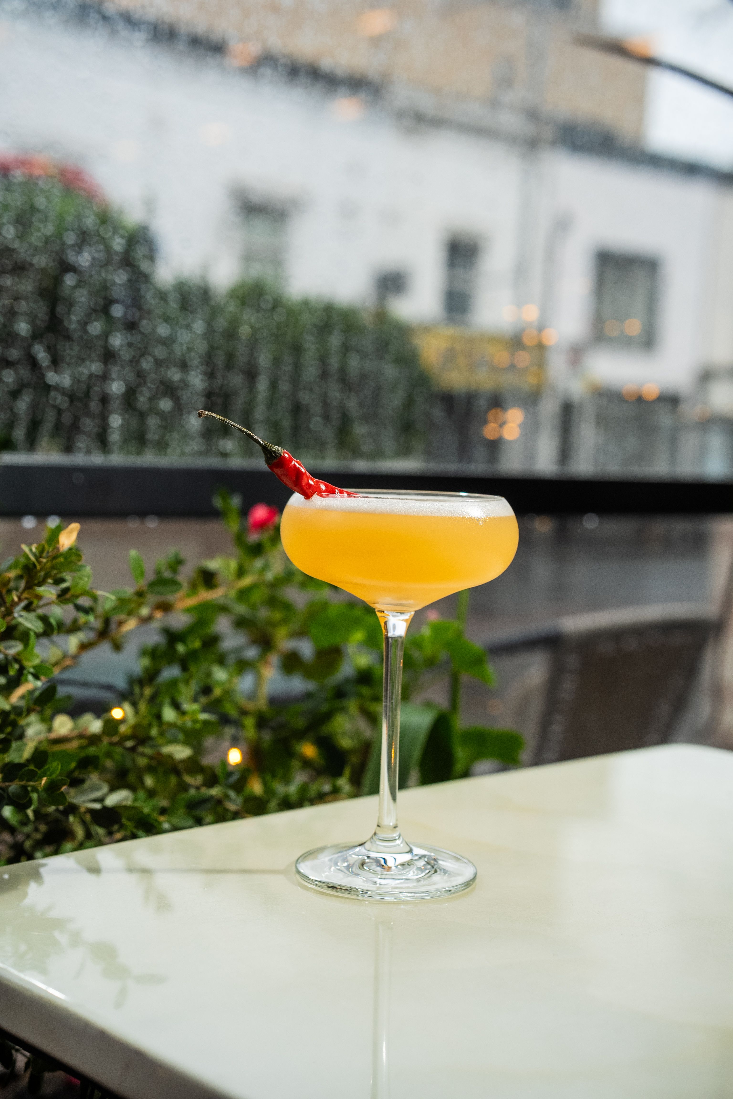 Chili Garnished Cocktail on Rainy Day Indoors · Free Stock Photo