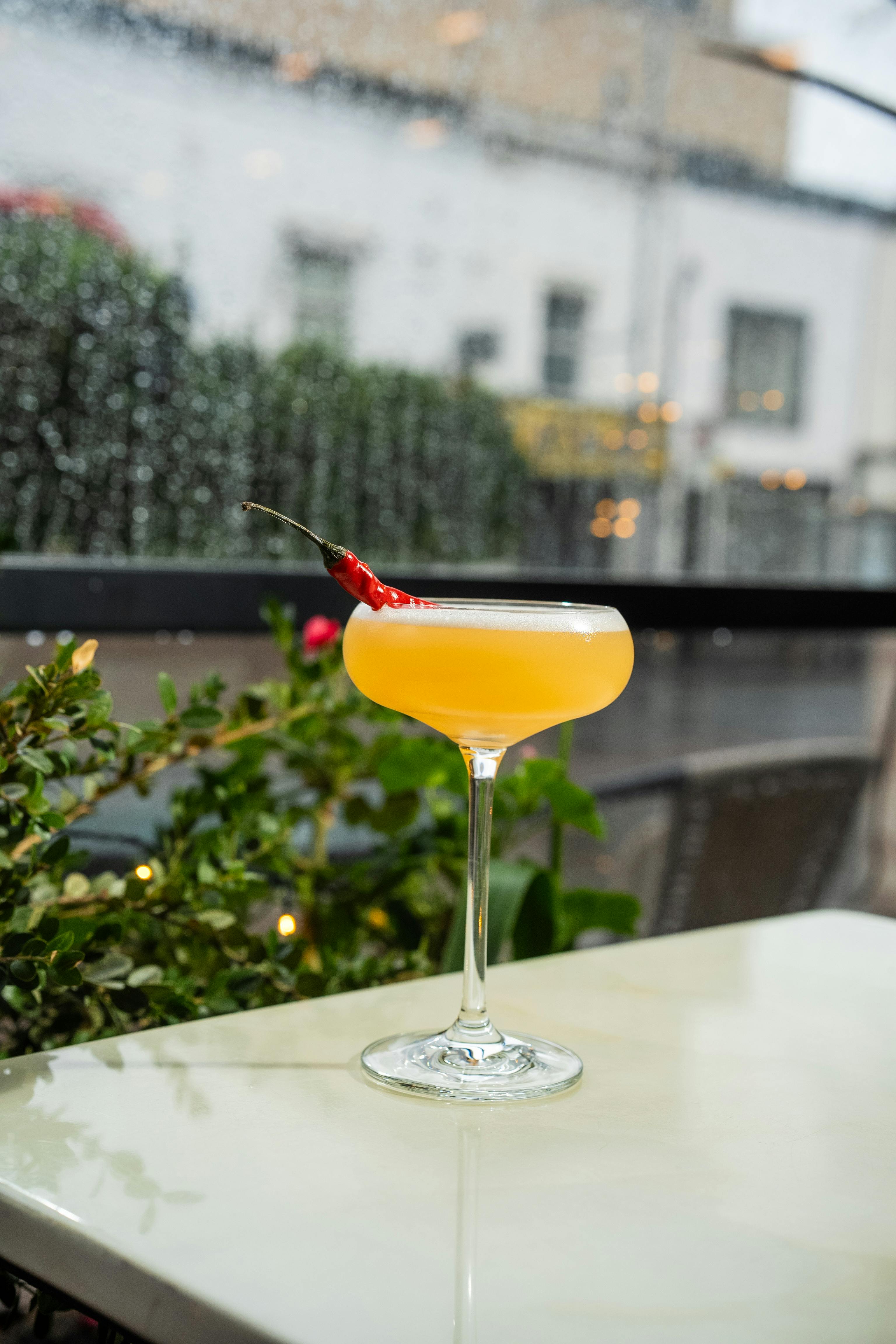 Shuffleboard Table Bar Photos, Download The BEST Free Shuffleboard ...