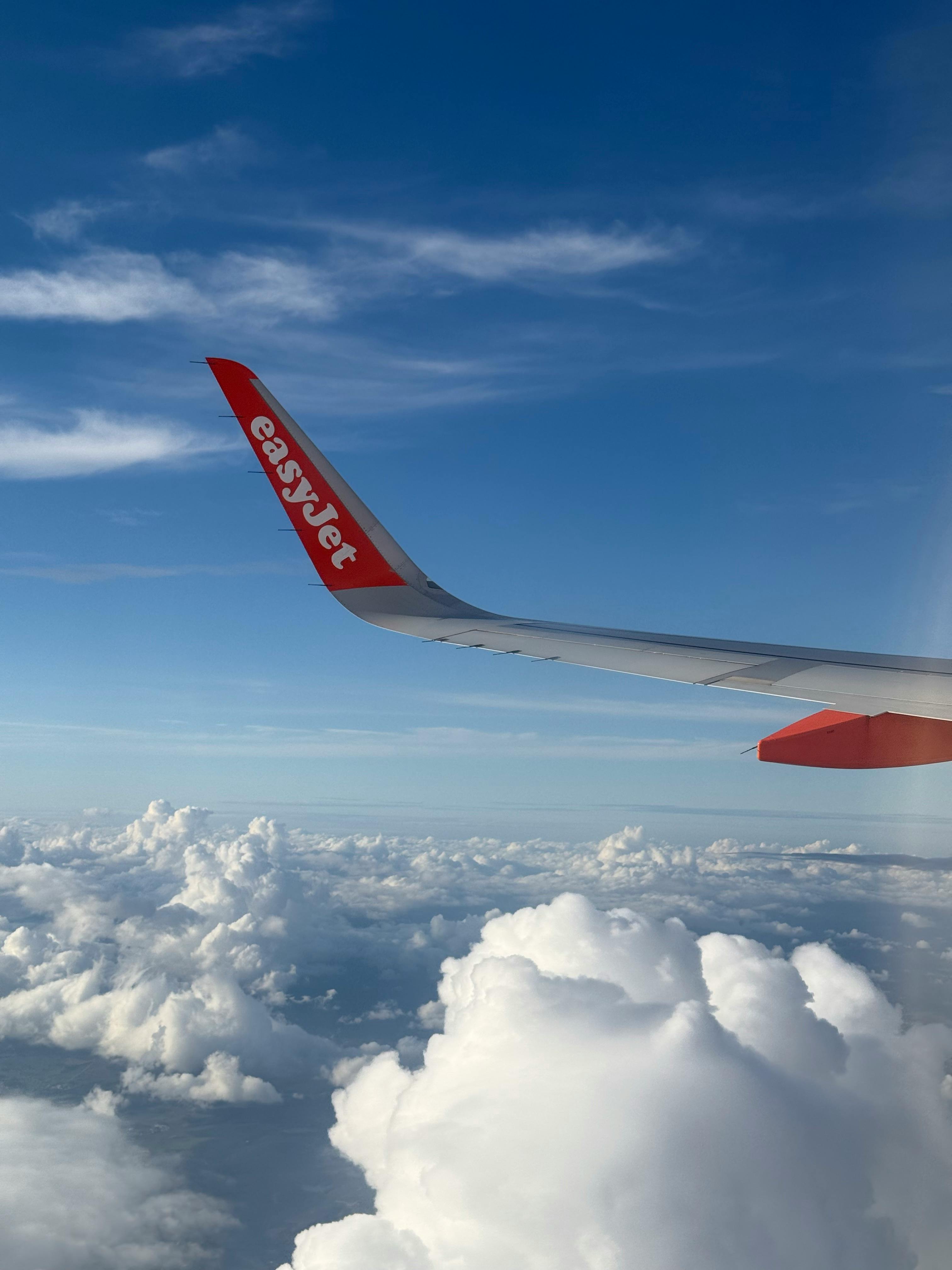 Fading Wing Photos, Download The BEST Free Fading Wing Stock Photos ...