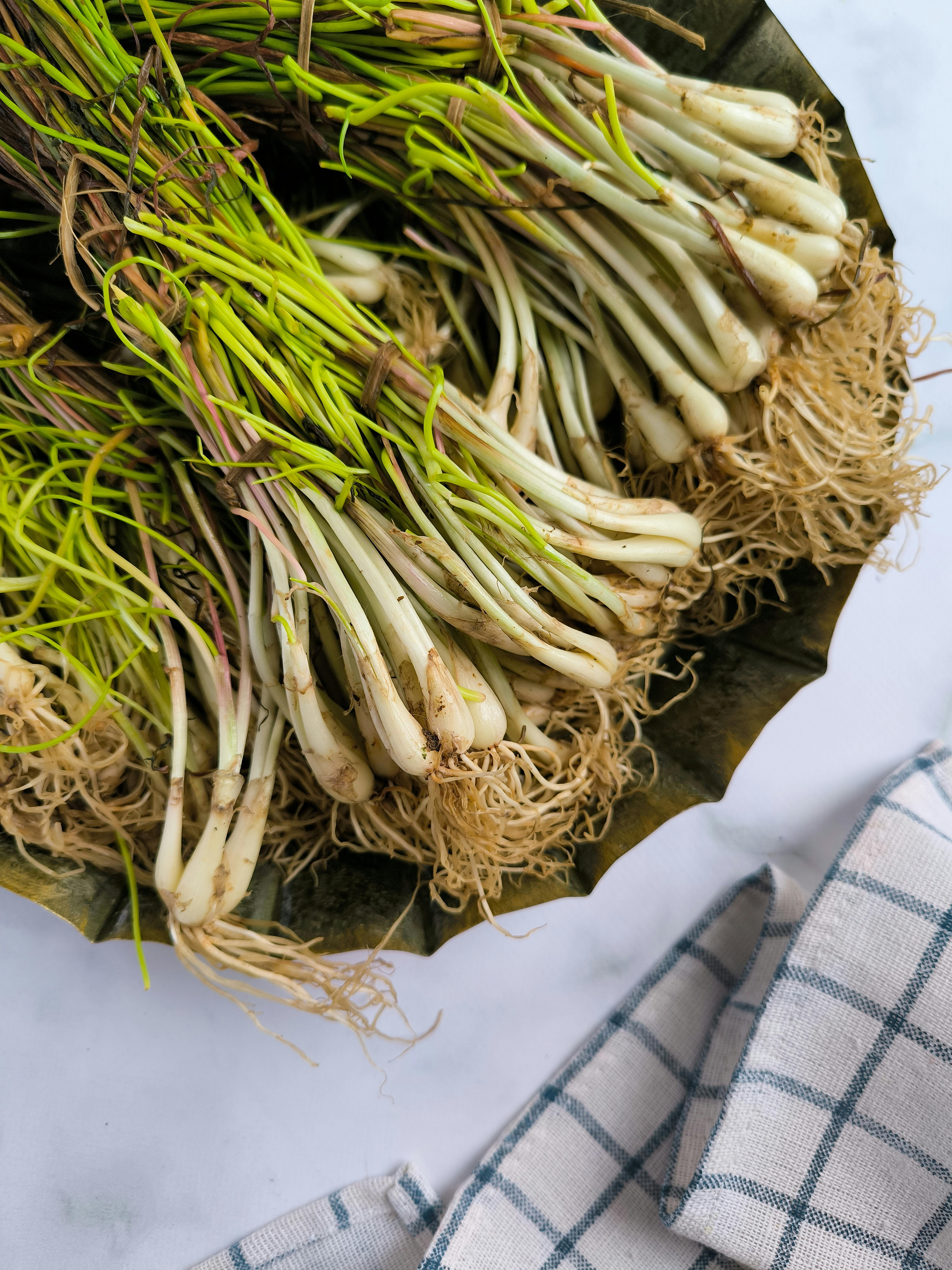 Lokio Lien Photos, Download The BEST Free Lokio Lien Stock Photos & HD ...