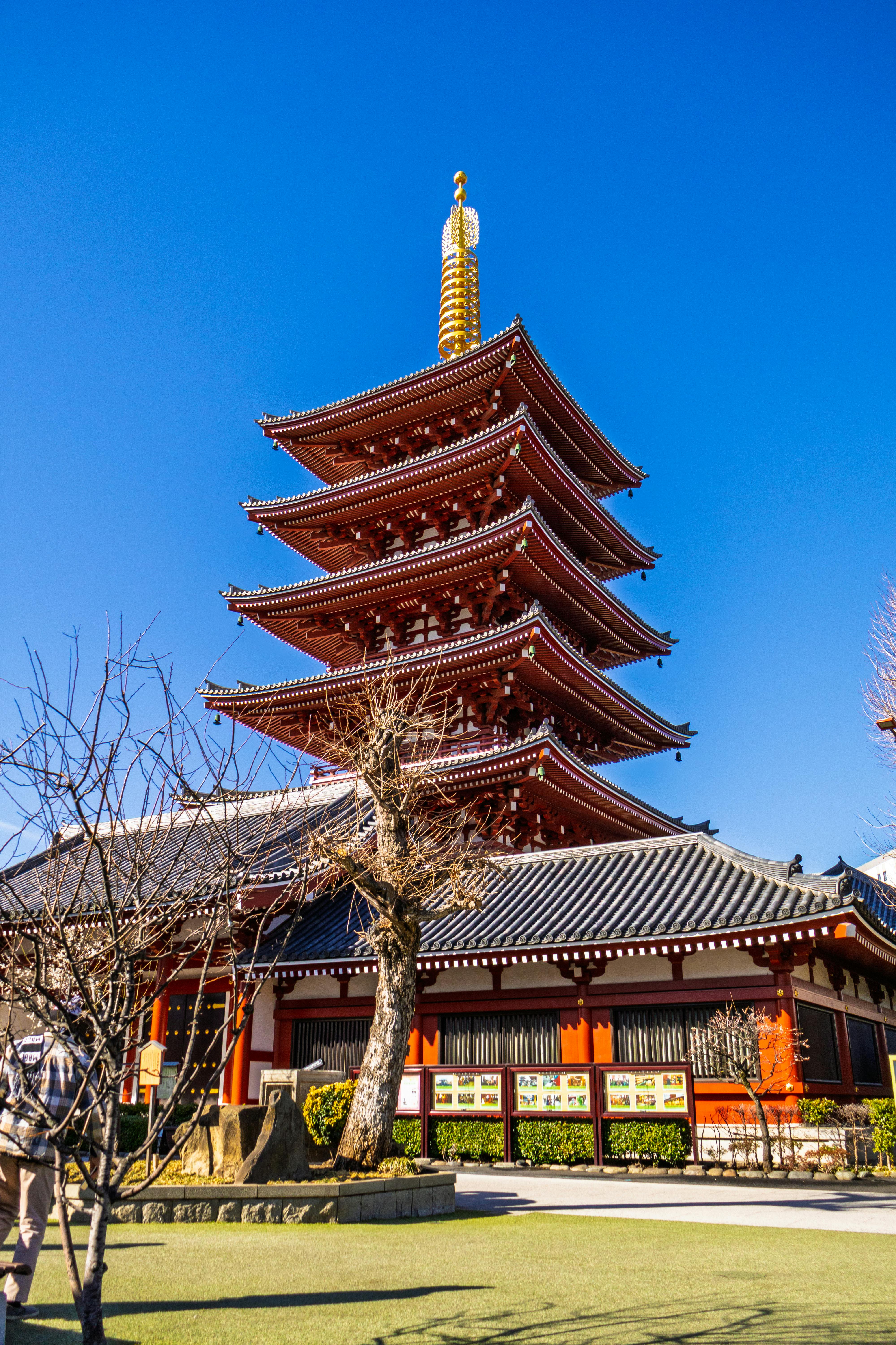Pagode De Cinco Andares Em Senso Ji Em Tóquio · Foto profissional gratuita