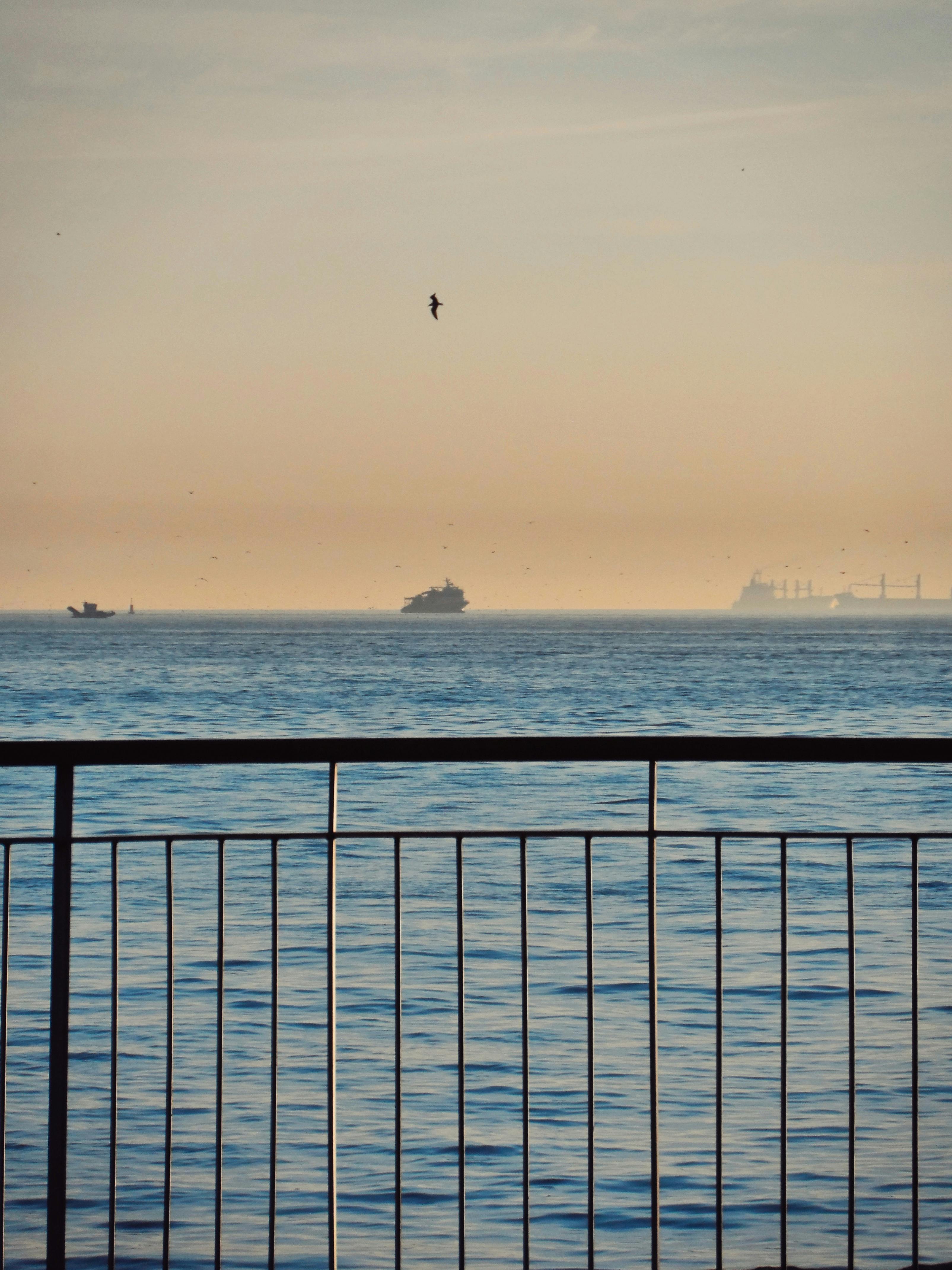 Marine Ships Photos, Download The BEST Free Marine Ships Stock Photos ...