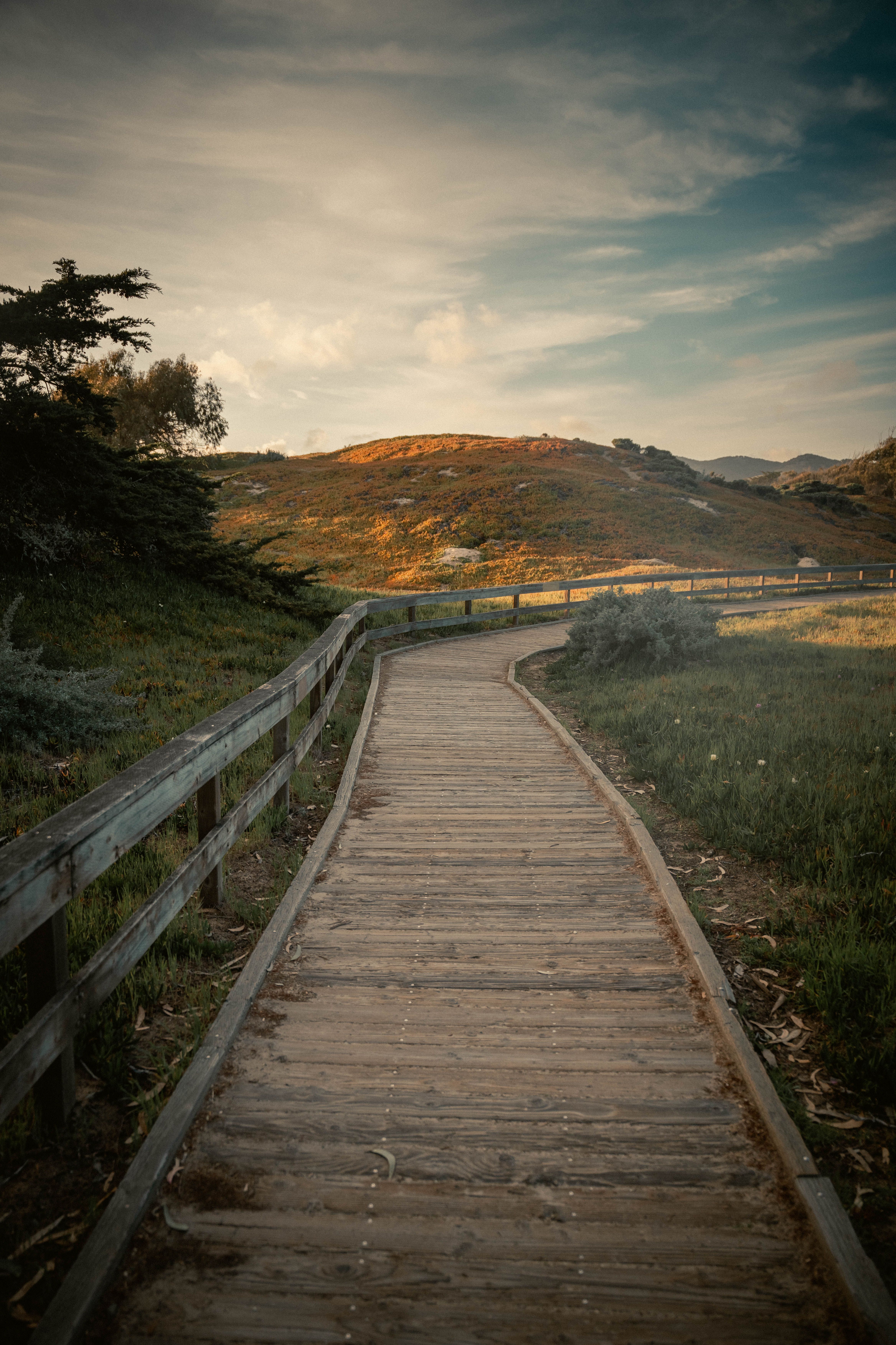 Scenic Wooden Pathway Through Rolling Hills · Free Stock Photo