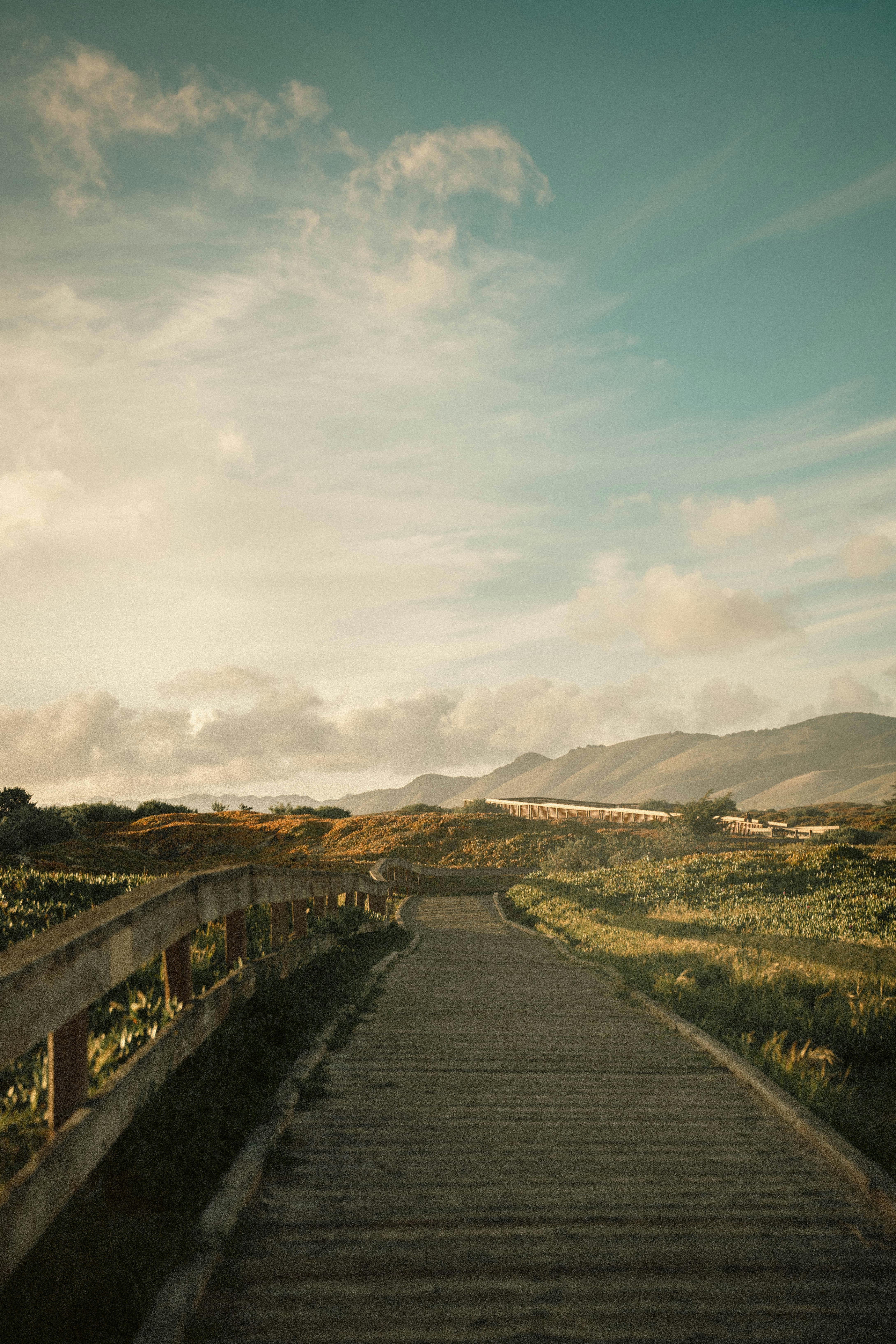 Scenic Boardwalk in Tranquil Coastal Landscape · Free Stock Photo