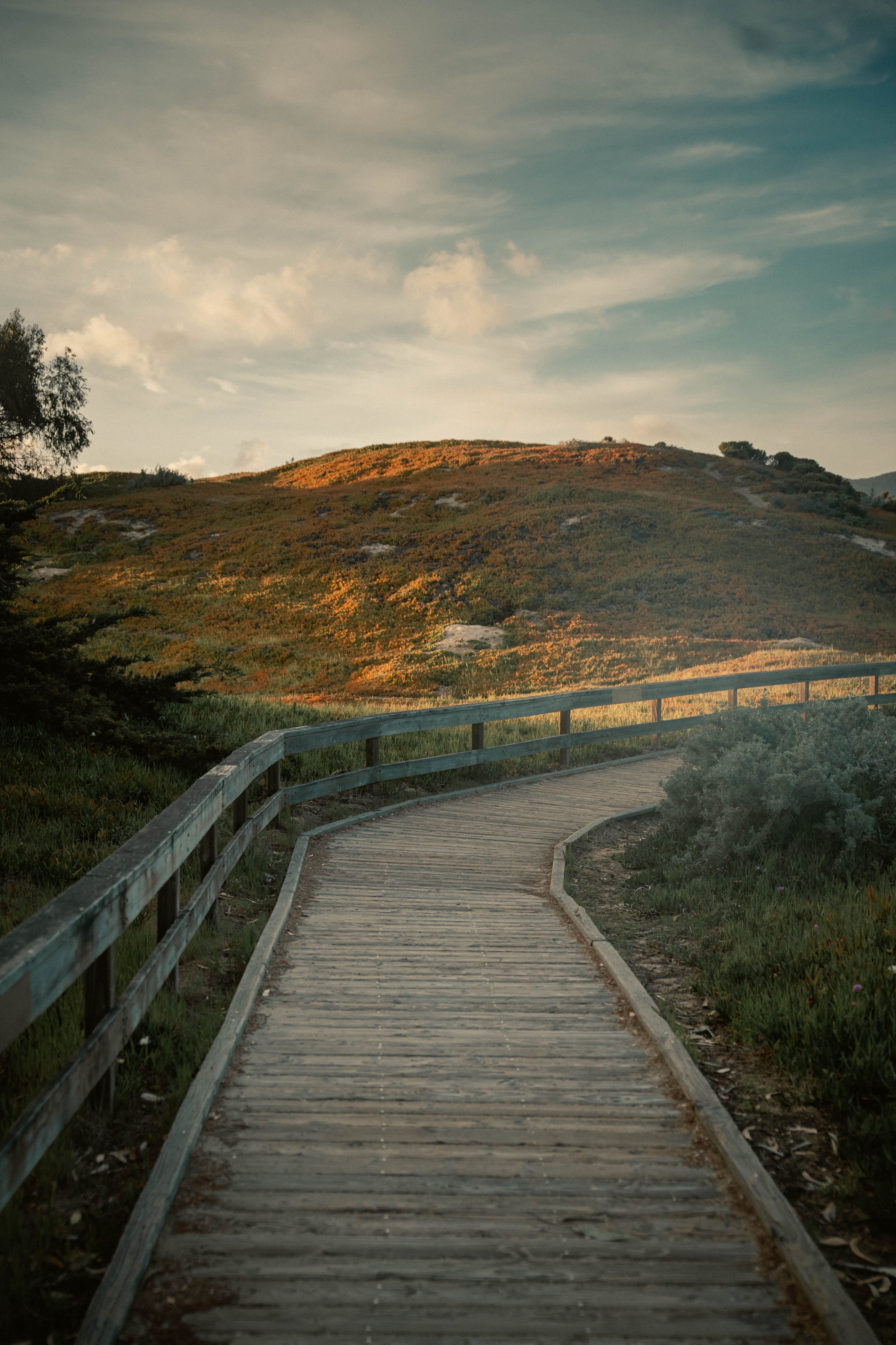 A Winding Path Opening To Light Photos, Download The BEST Free A ...
