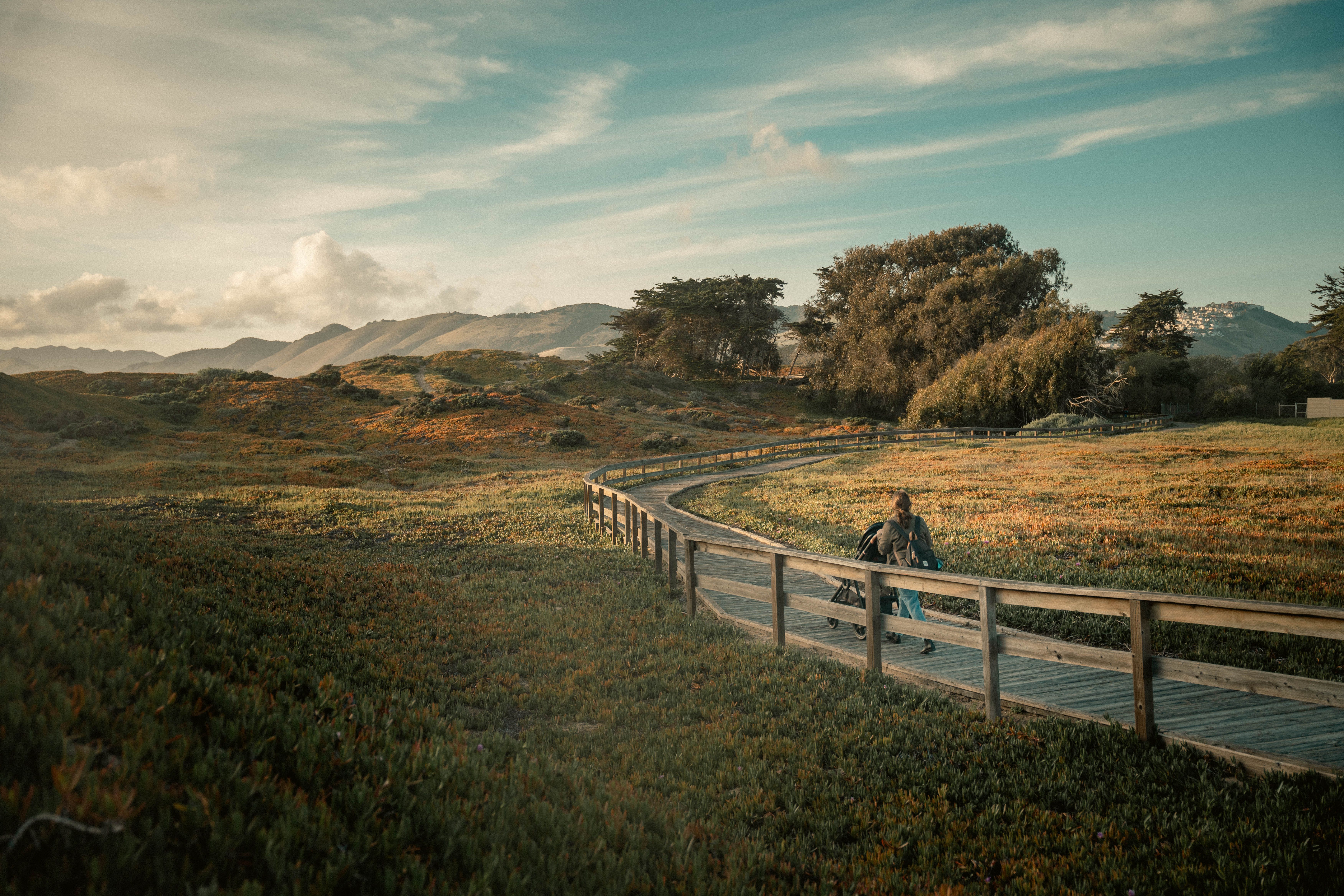 Scenic Boardwalk Landscape with Captivating Views · Free Stock Photo