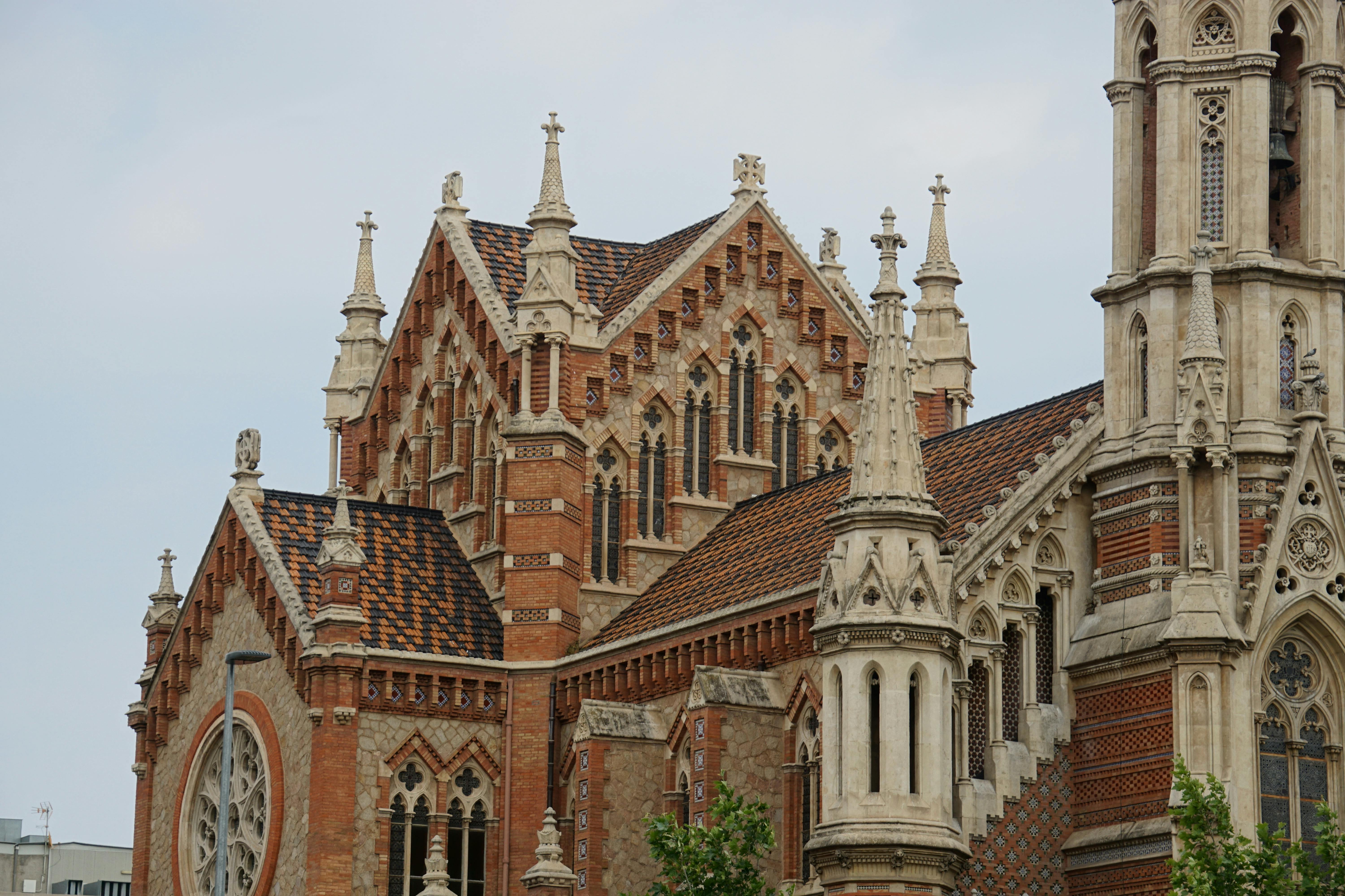 Revival Photos, Download The BEST Free Revival Stock Photos & HD Images