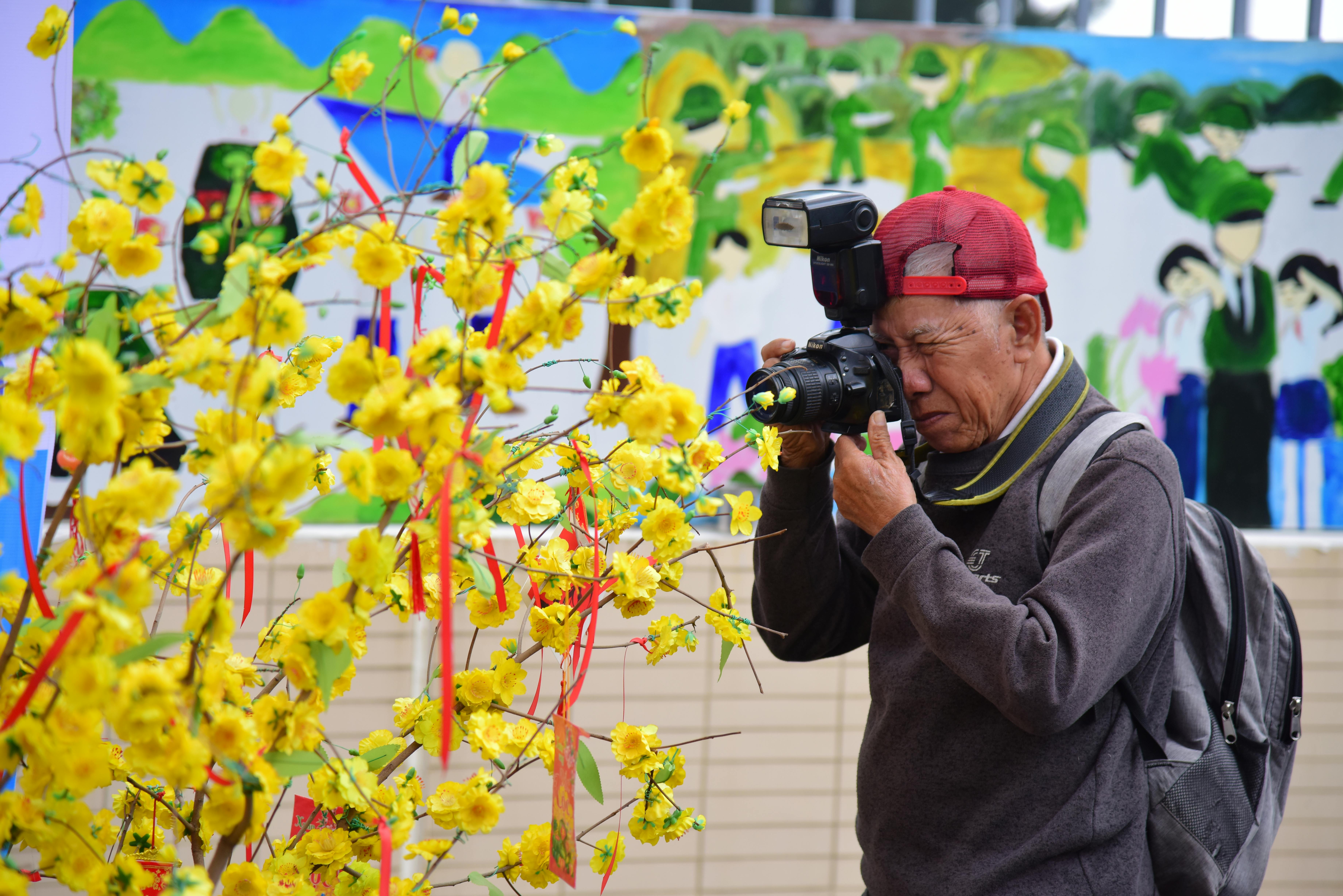 Background Art Photos, Download The BEST Free Background Art Stock ...