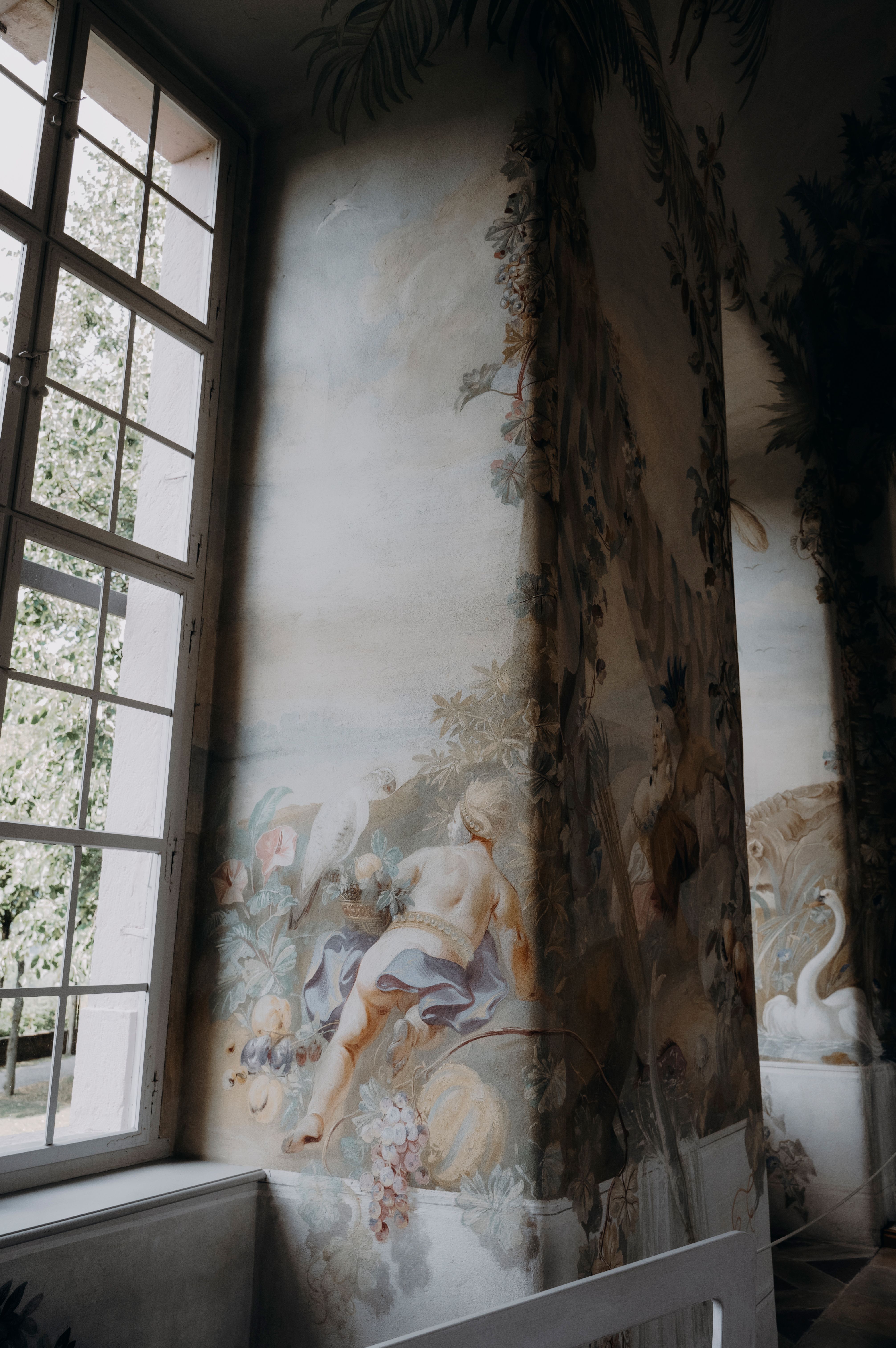 Elegant Indoor Wall Murals in Soft Light · Free Stock Photo