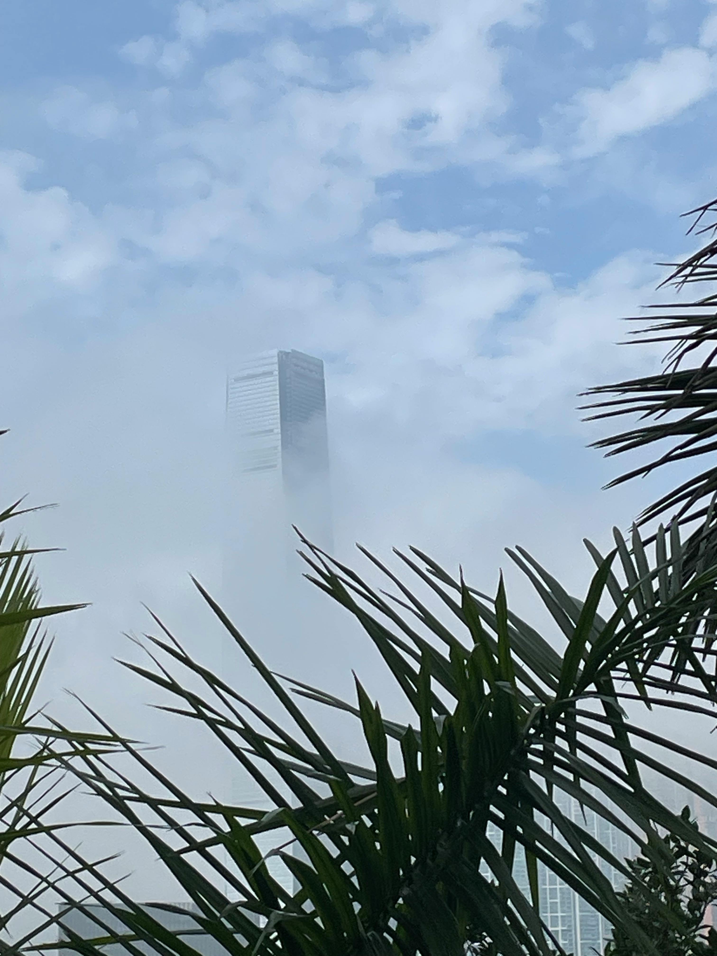 David Lomax - 摄影