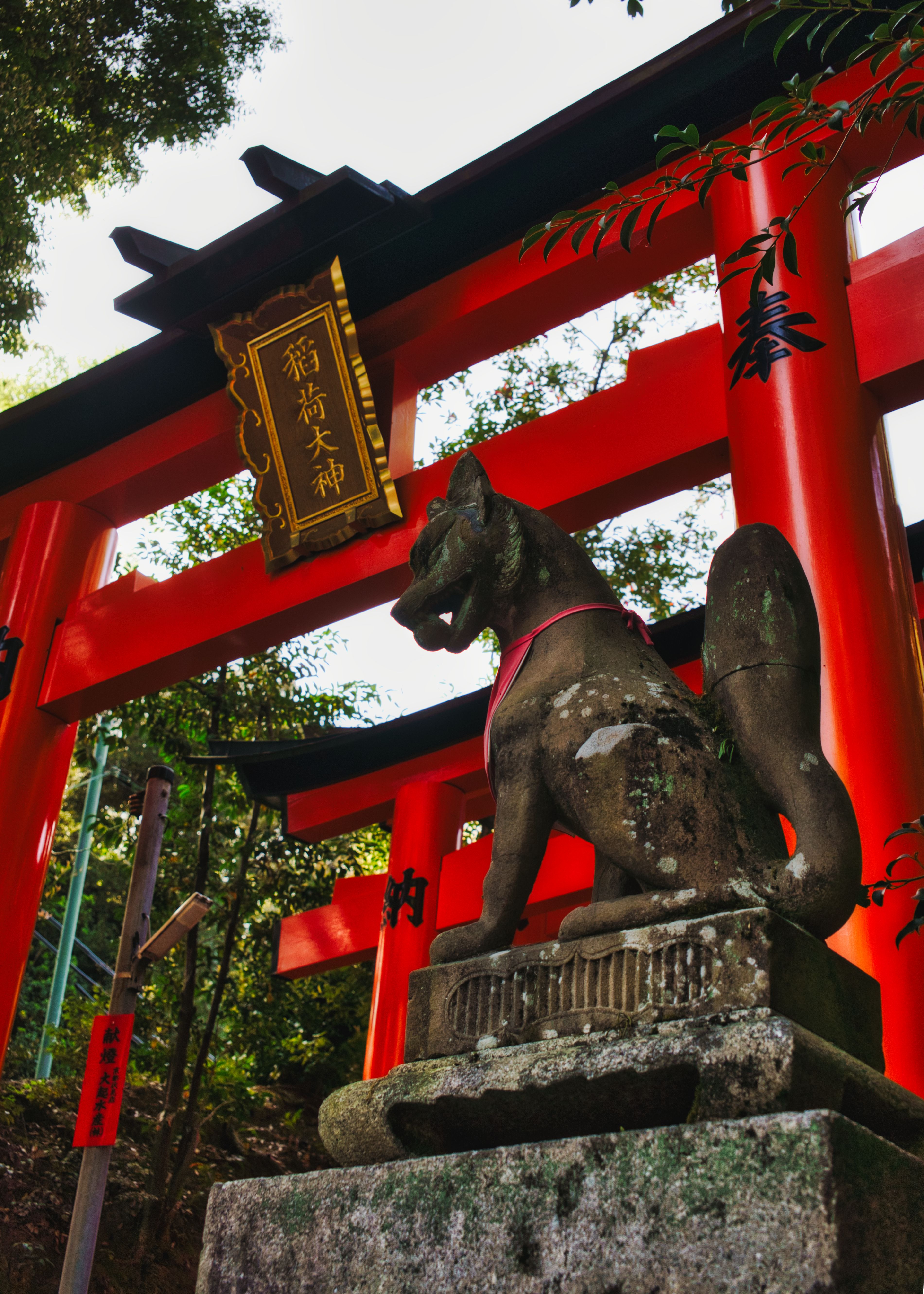 Gerbang Torii Merah Yang Ikonik Di Kuil Fushimi Inari · Foto Stok Gratis
