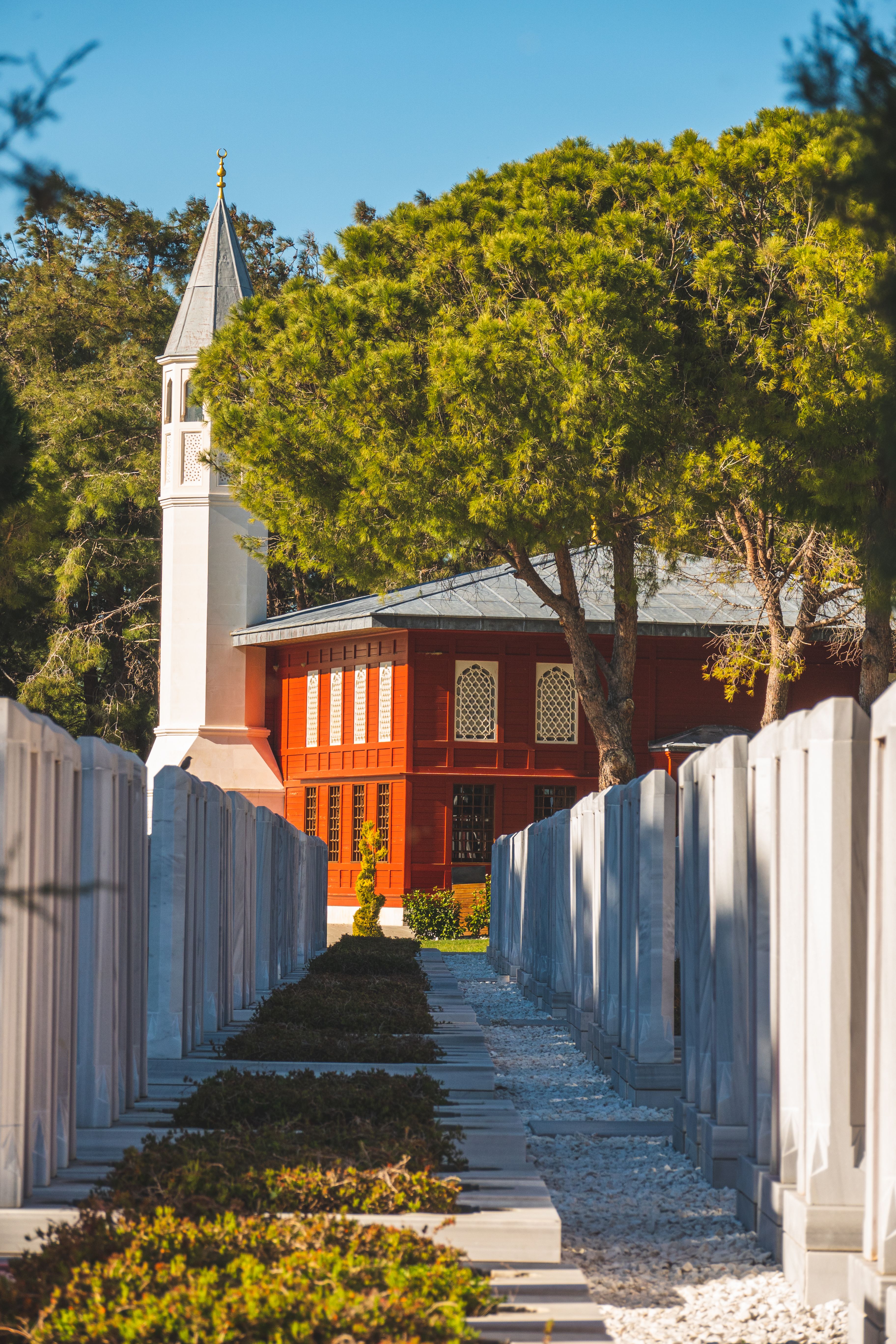 Beautiful Mosque and Cemetery with Towering Trees · Free Stock Photo