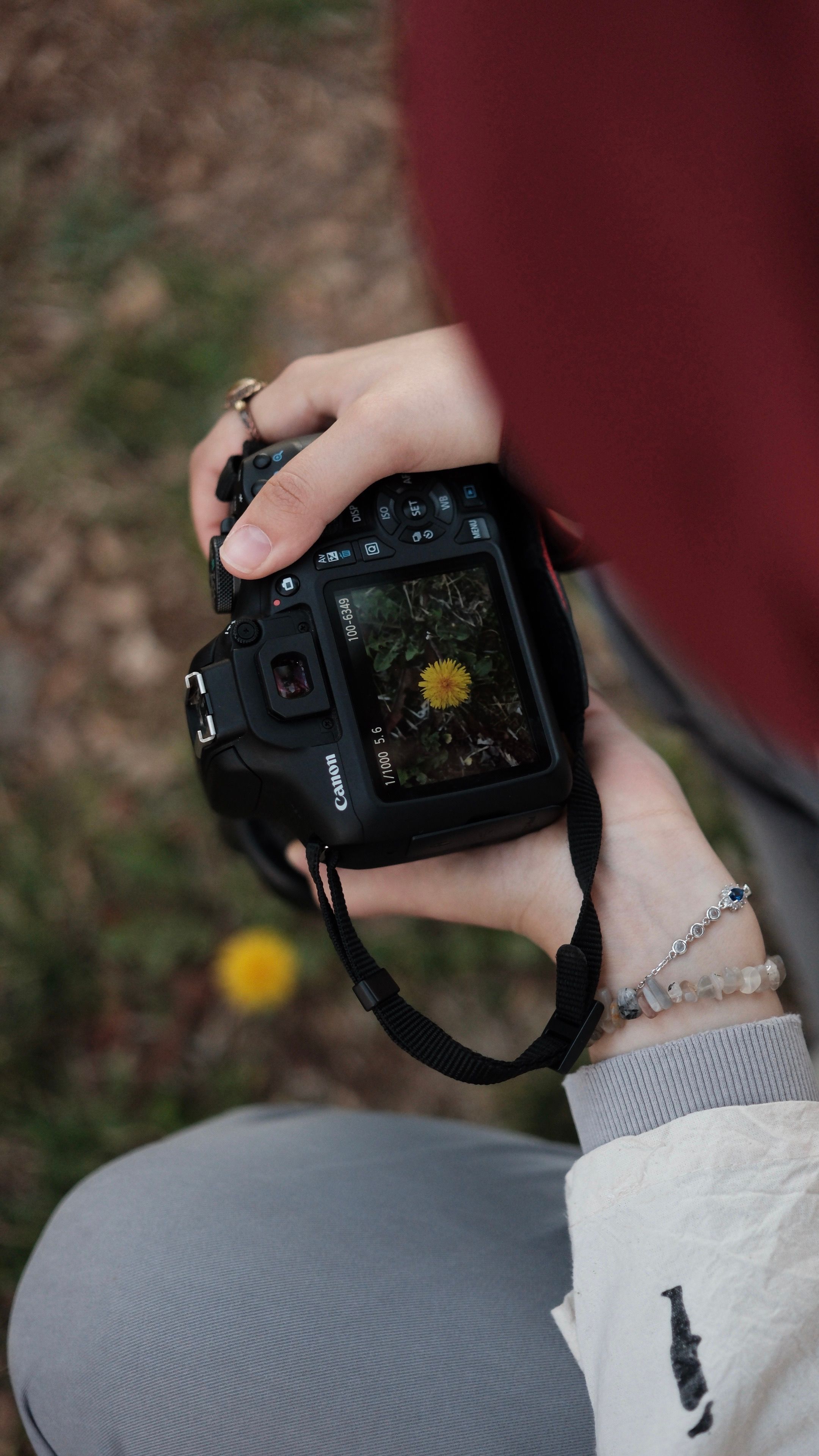 Capturing Nature with DSLR Camera in Gaziantep · Free Stock Photo