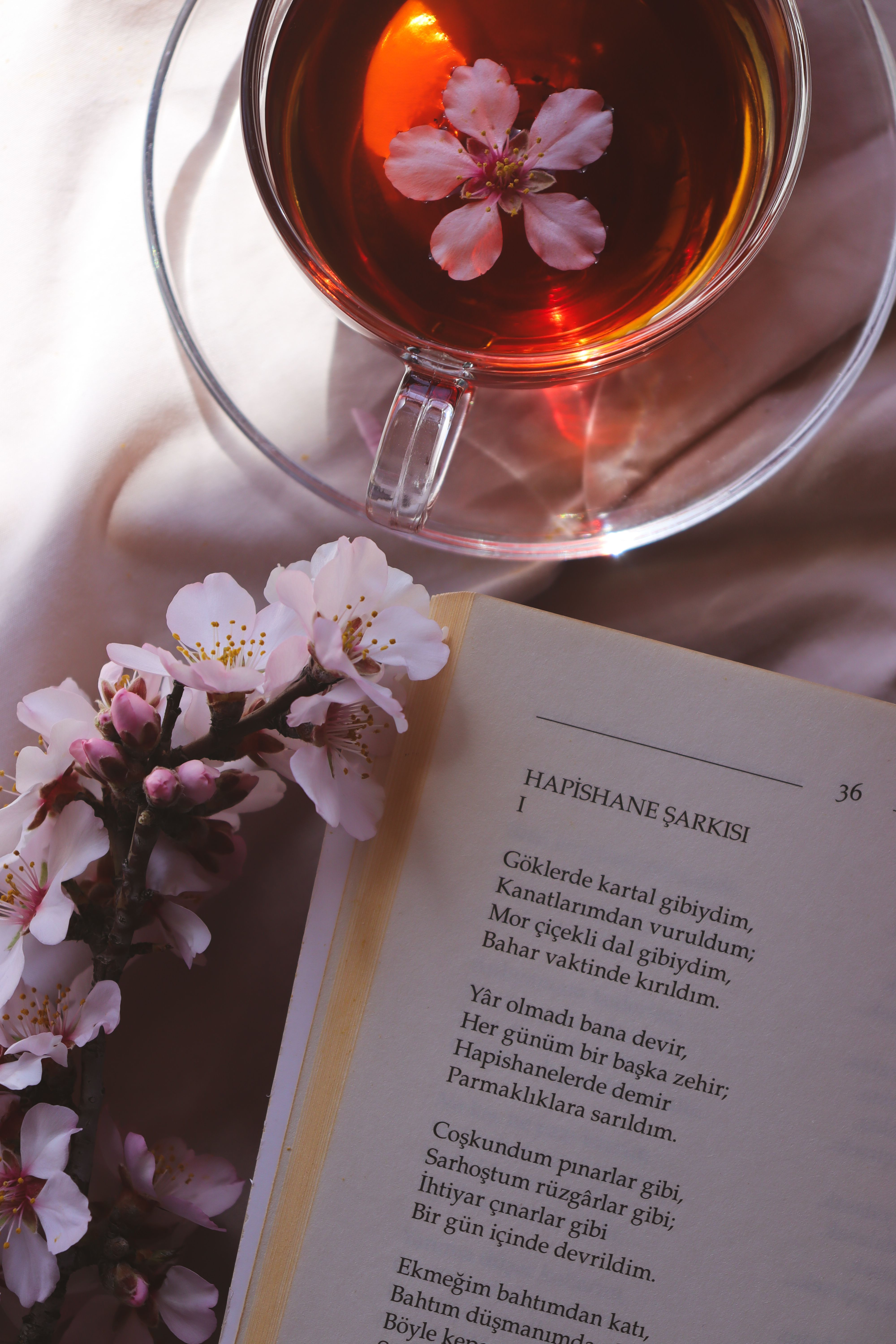 Poetry Book Photos, Download The BEST Free Poetry Book Stock Photos ...