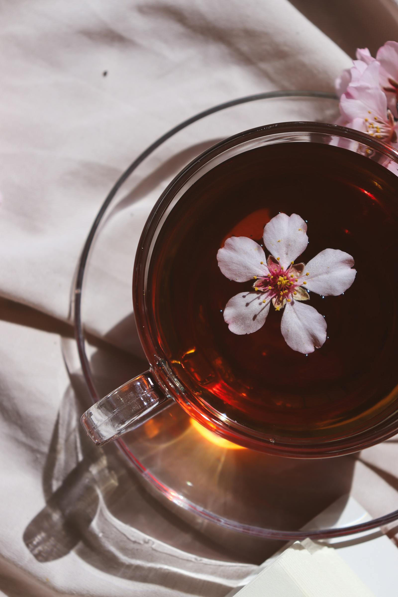 Japan Tea Photos, Download The BEST Free Japan Tea Stock Photos & HD Images