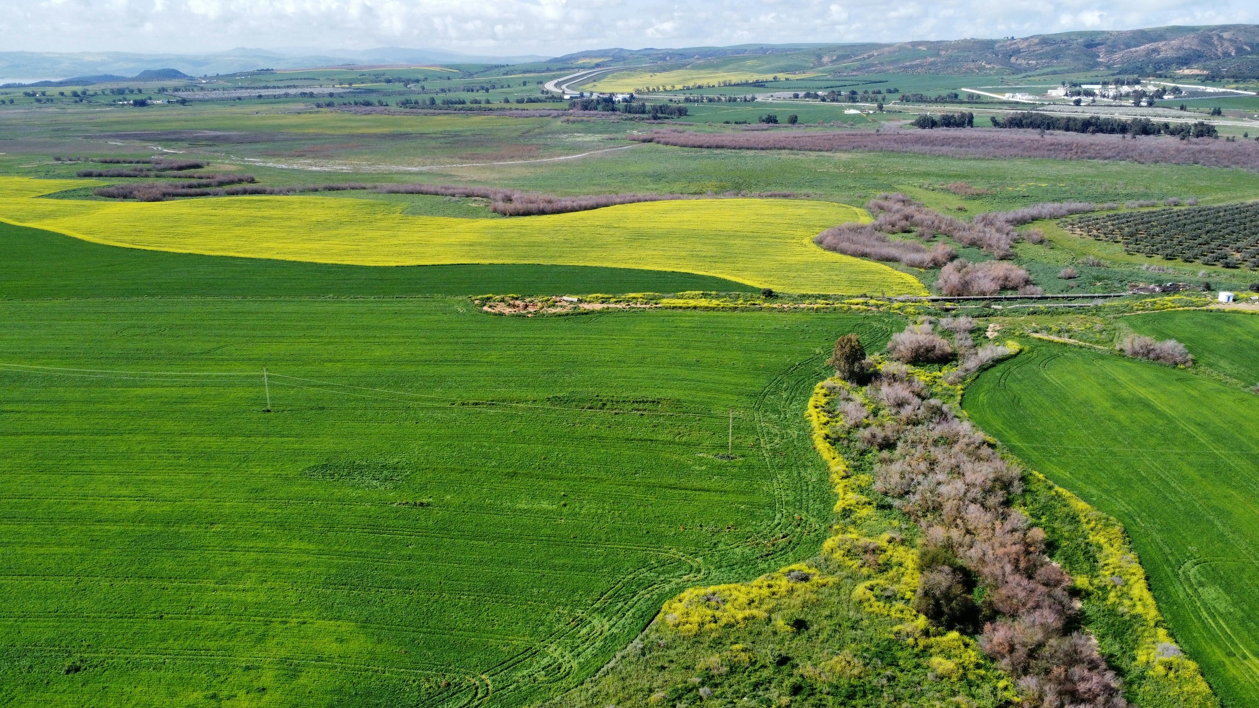 Aerial View of Verdant Fields in Oued Zarga, Tunisia · Free Stock Photo