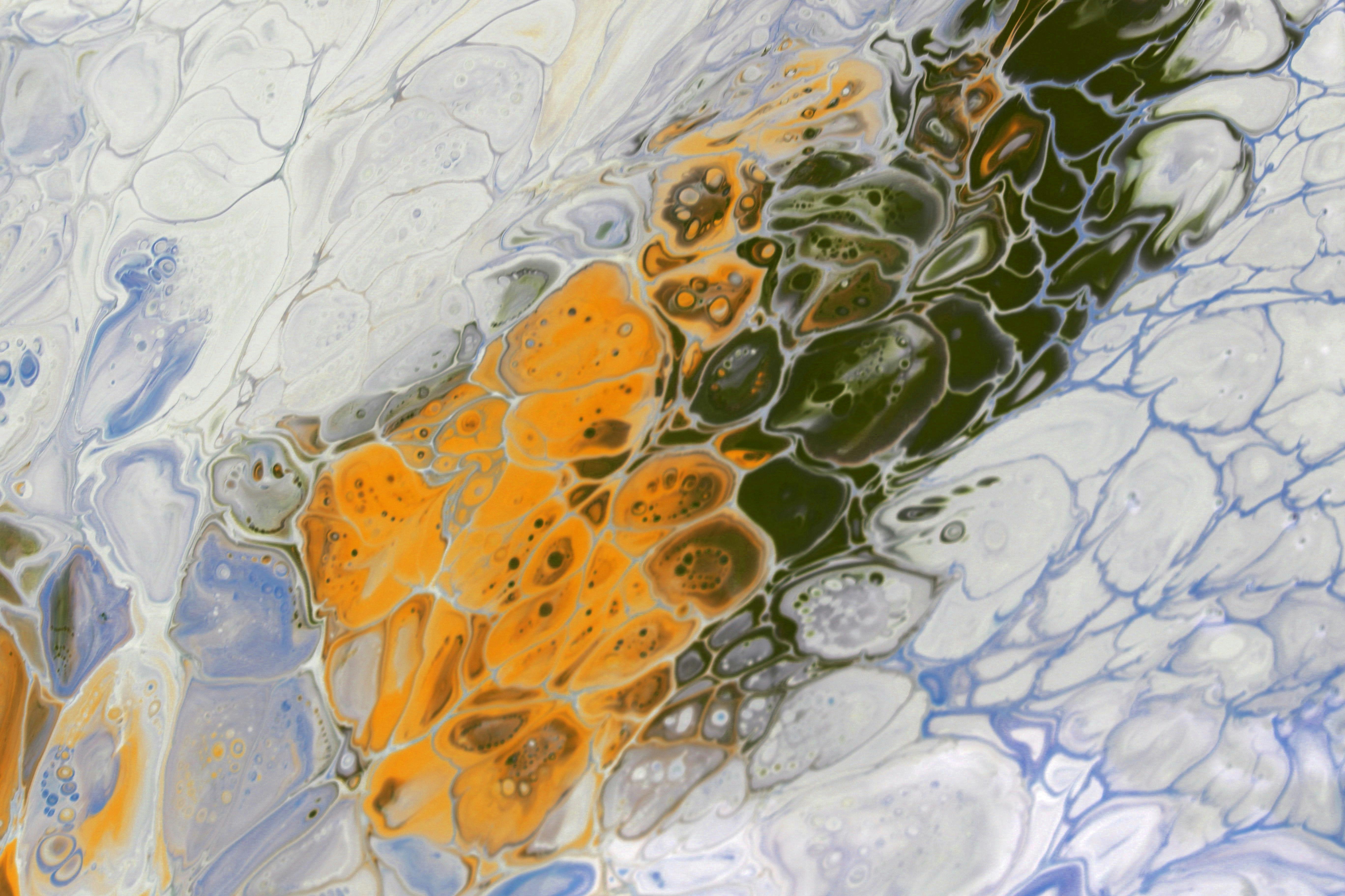 Vibrant Abstract Fluid Art Painting · Free Stock Photo